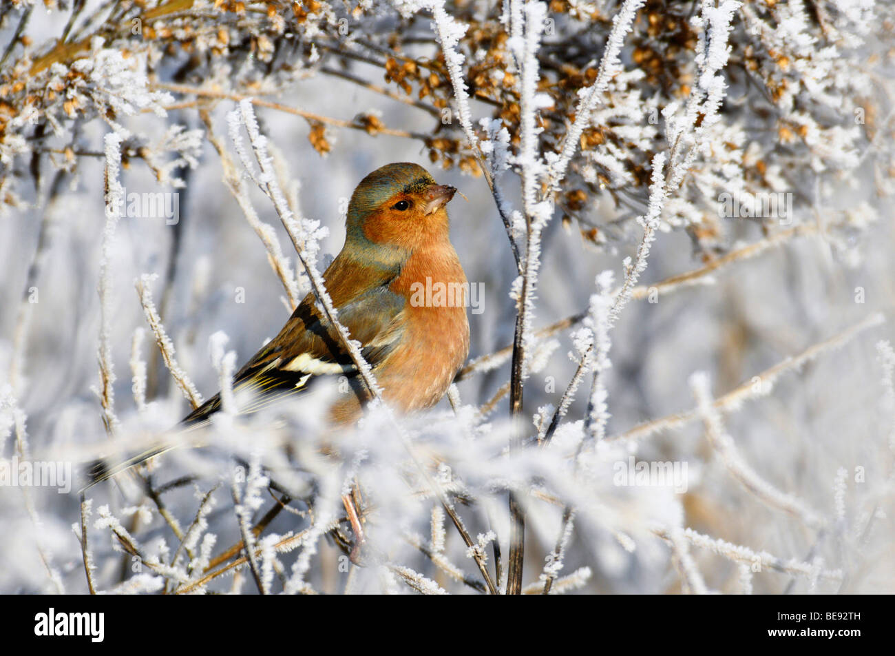 Luke or bo vink hi-res stock photography and images - Alamy