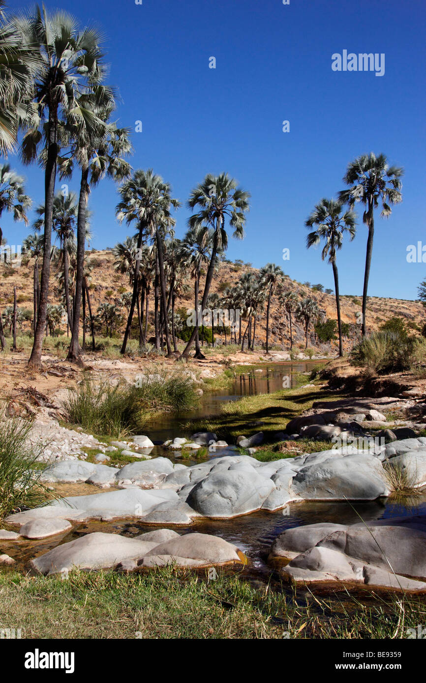 Arid semi desert hi-res stock photography and images - Alamy