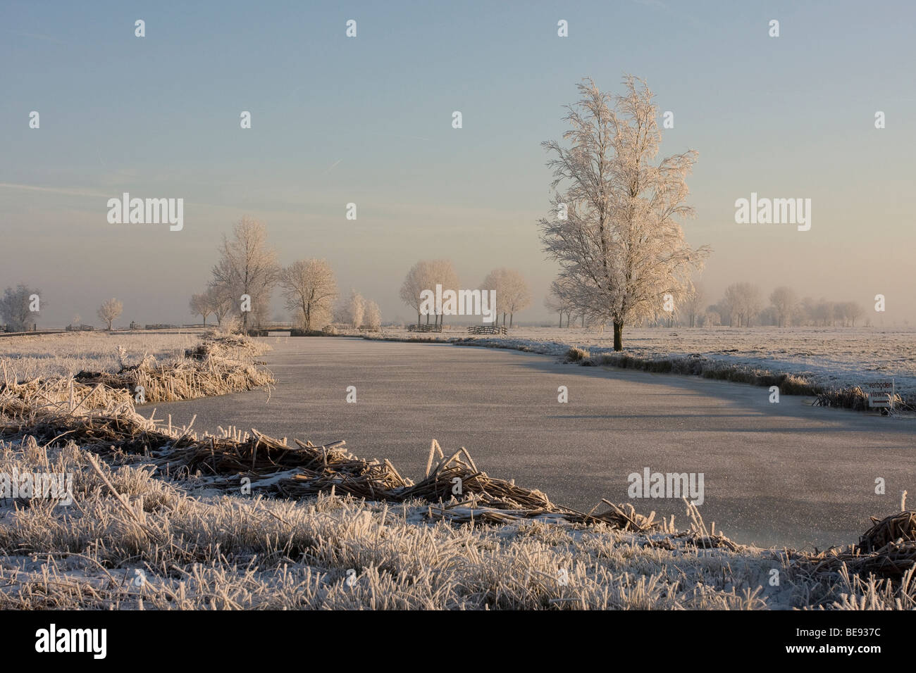 Alblasserwaard hi-res stock photography and images - Alamy