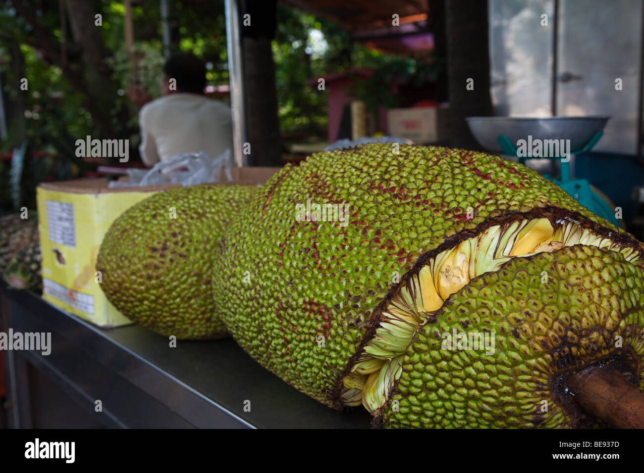 Artocarpus chempedan hi-res stock photography and images - Alamy