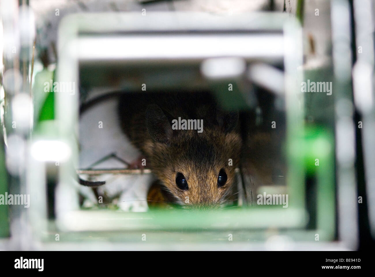 Lifetrap hi-res stock photography and images - Alamy