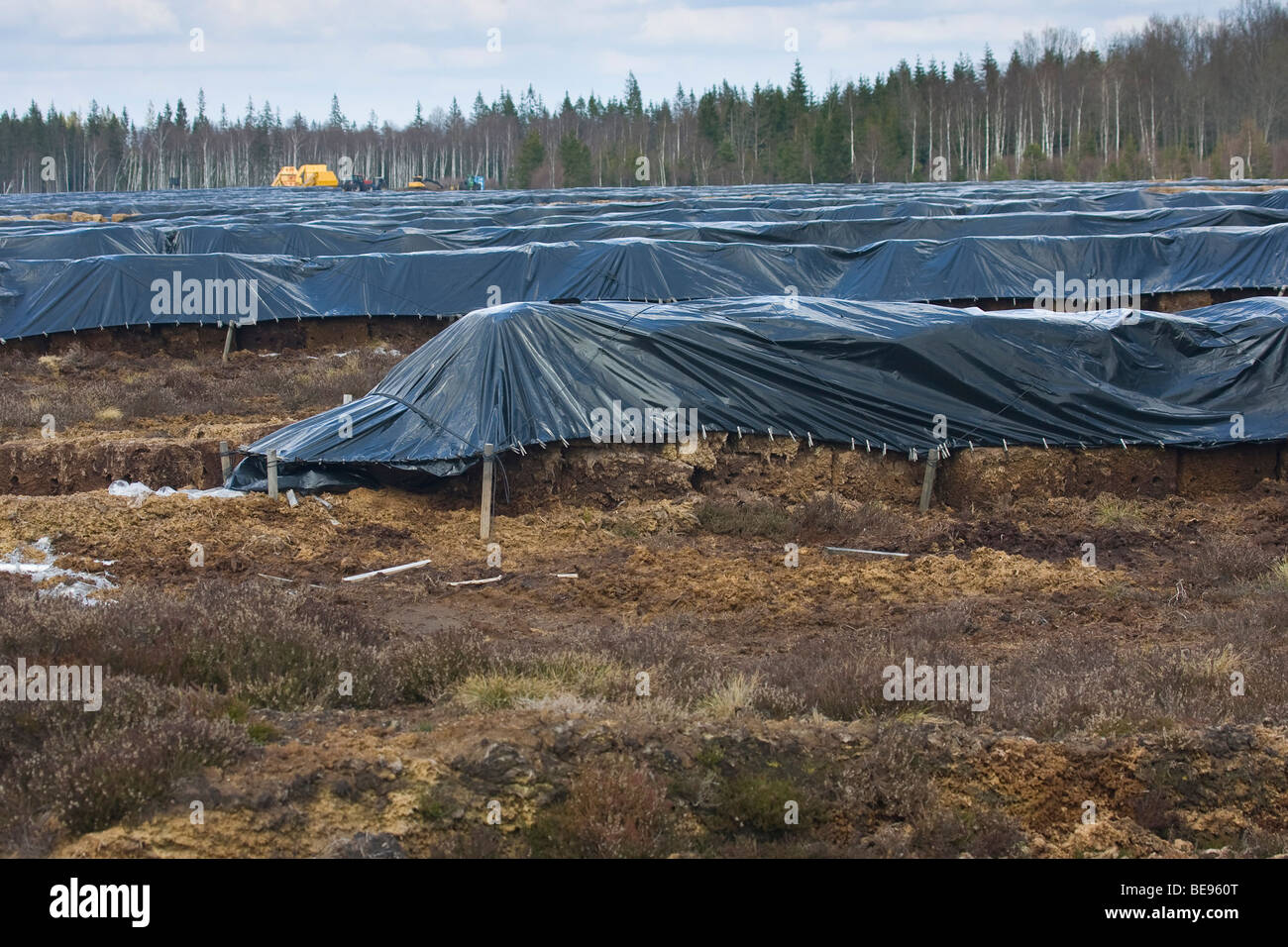 Grootschalige hi-res stock photography and images - Alamy