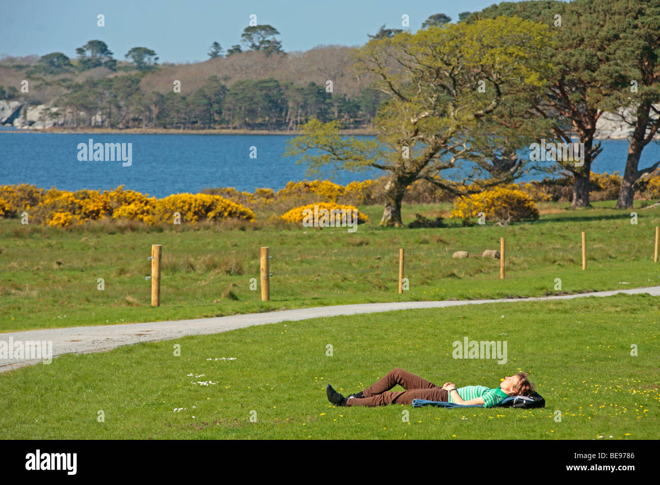 young woman enjoying the sunny weather at Killarney National Park ...