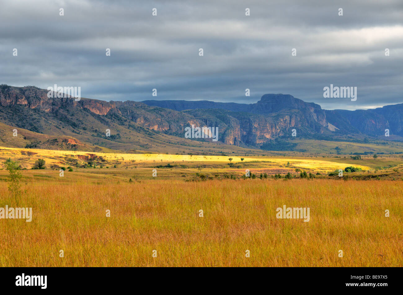 Madagascar nature hi-res stock photography and images - Alamy