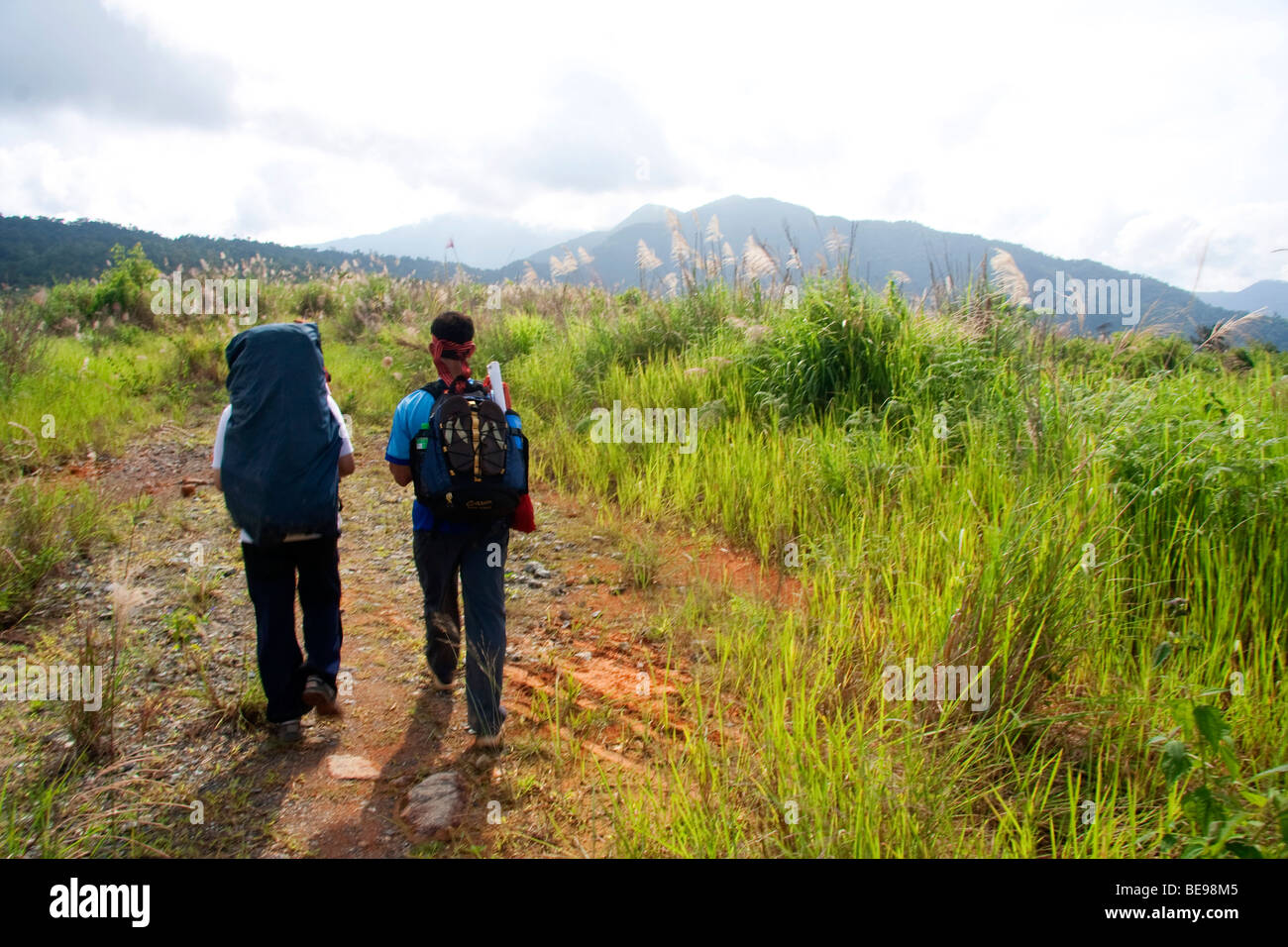 Trekking in Mt. Tapulao, Zambales Stock Photo - Alamy