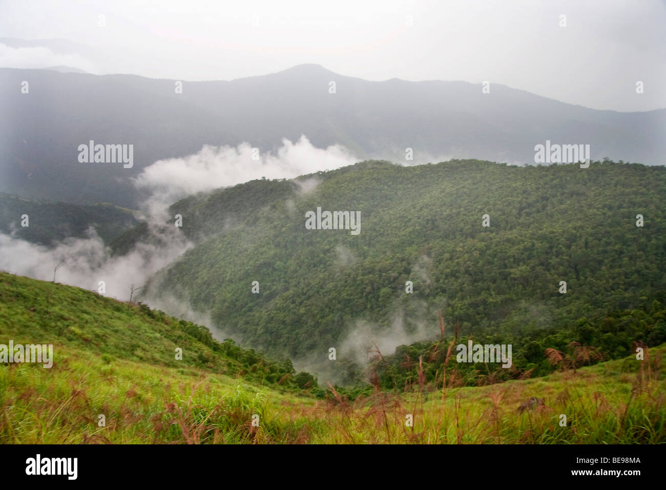 Mt tapulao hi-res stock photography and images - Alamy