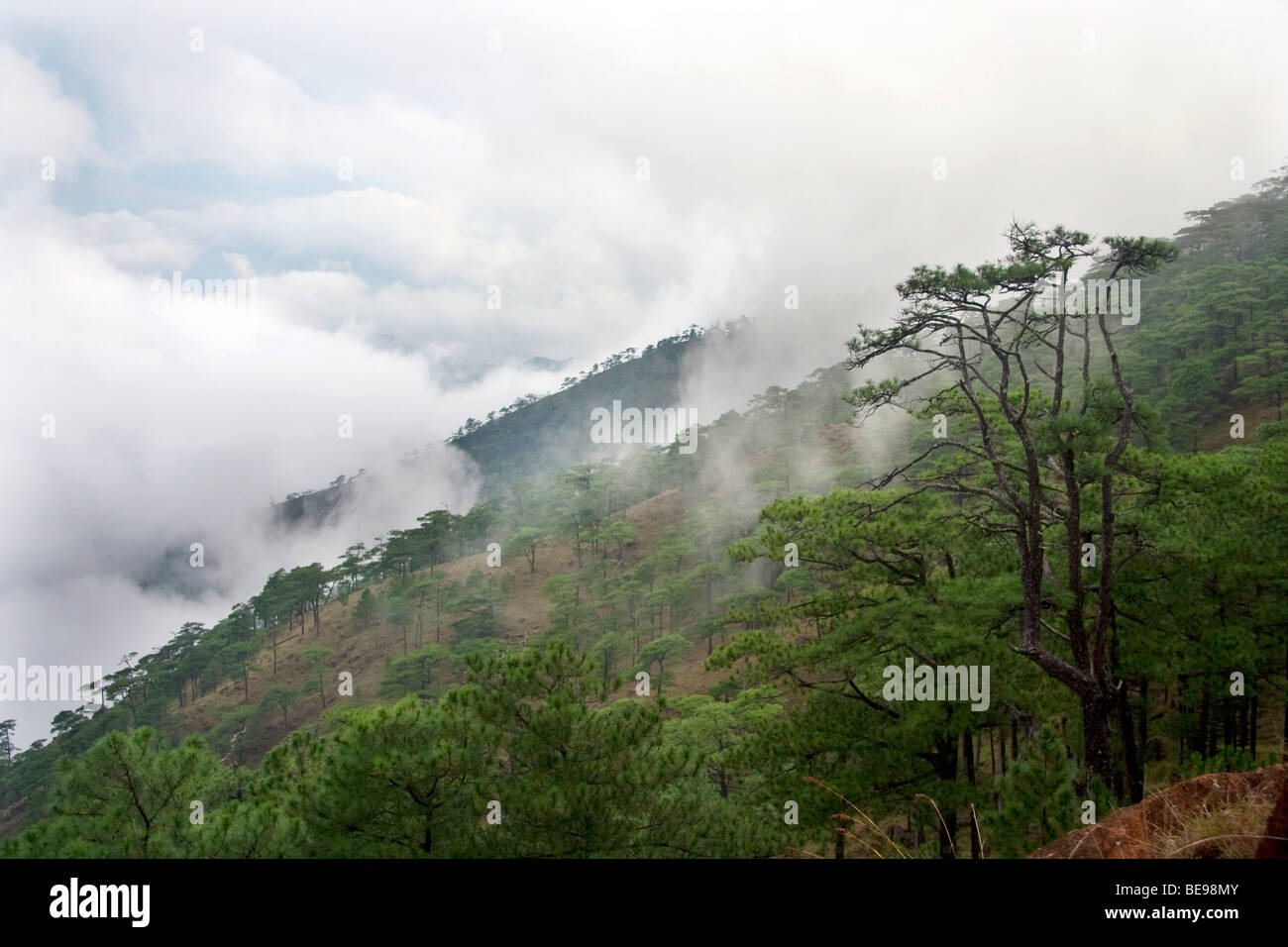 Mt tapulao hi-res stock photography and images - Alamy