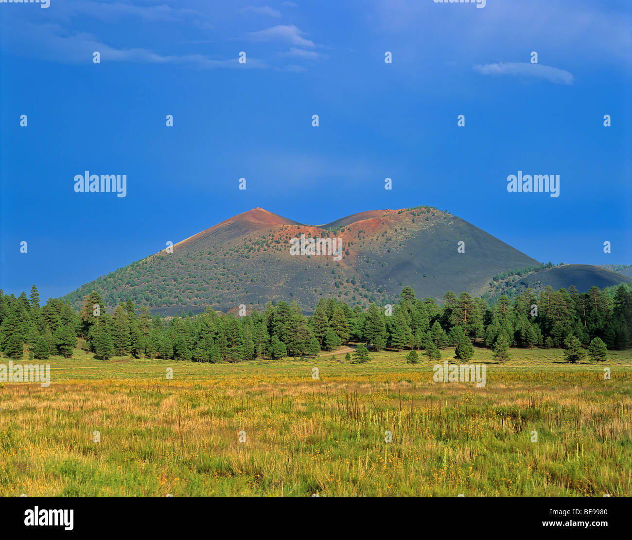 Sunset Crater Volcano rises above Bonito Park at Sunset Crater Volcano ...