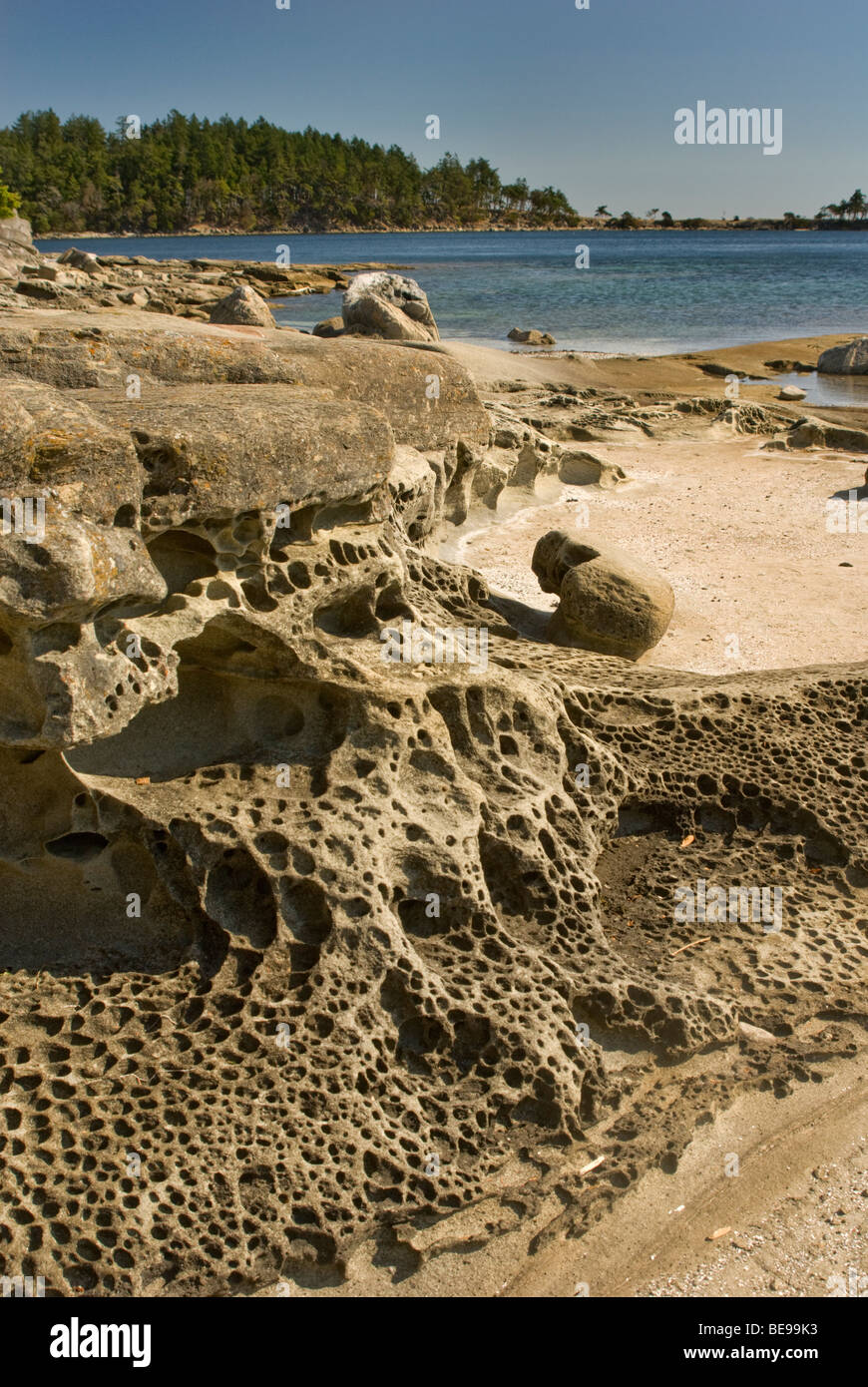 Sandstone rock formations along shore, Drumbeg Provincial Park ...
