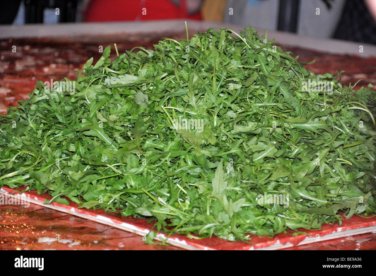 World record guinness record hi-res stock photography and images - Alamy