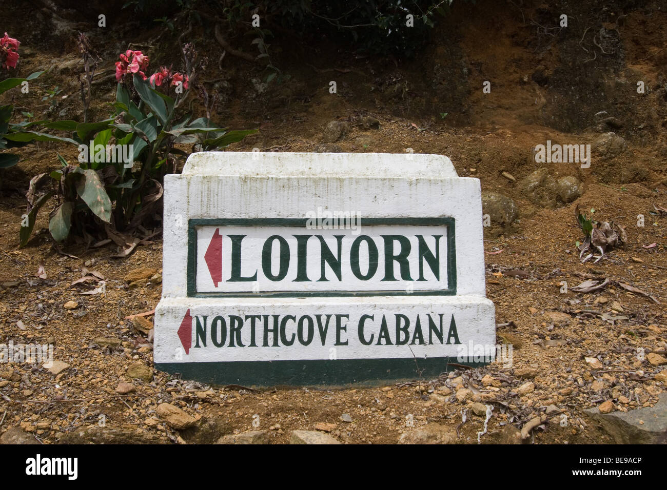 Tea Plantation Sign Board Bogawantalawa, Sri Lanka Stock Photo - Alamy