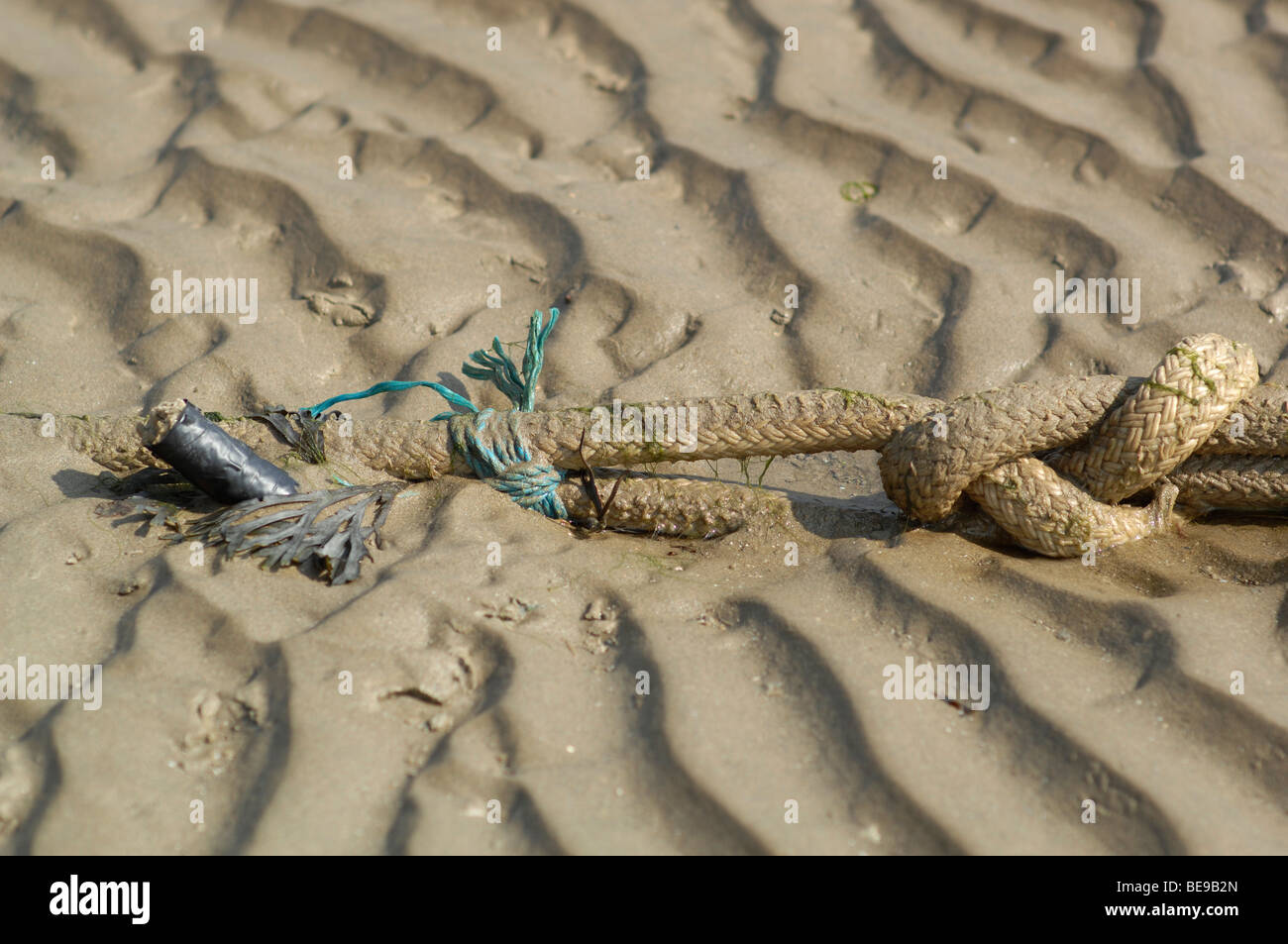 Rope on a sandy beach Stock Photo - Alamy