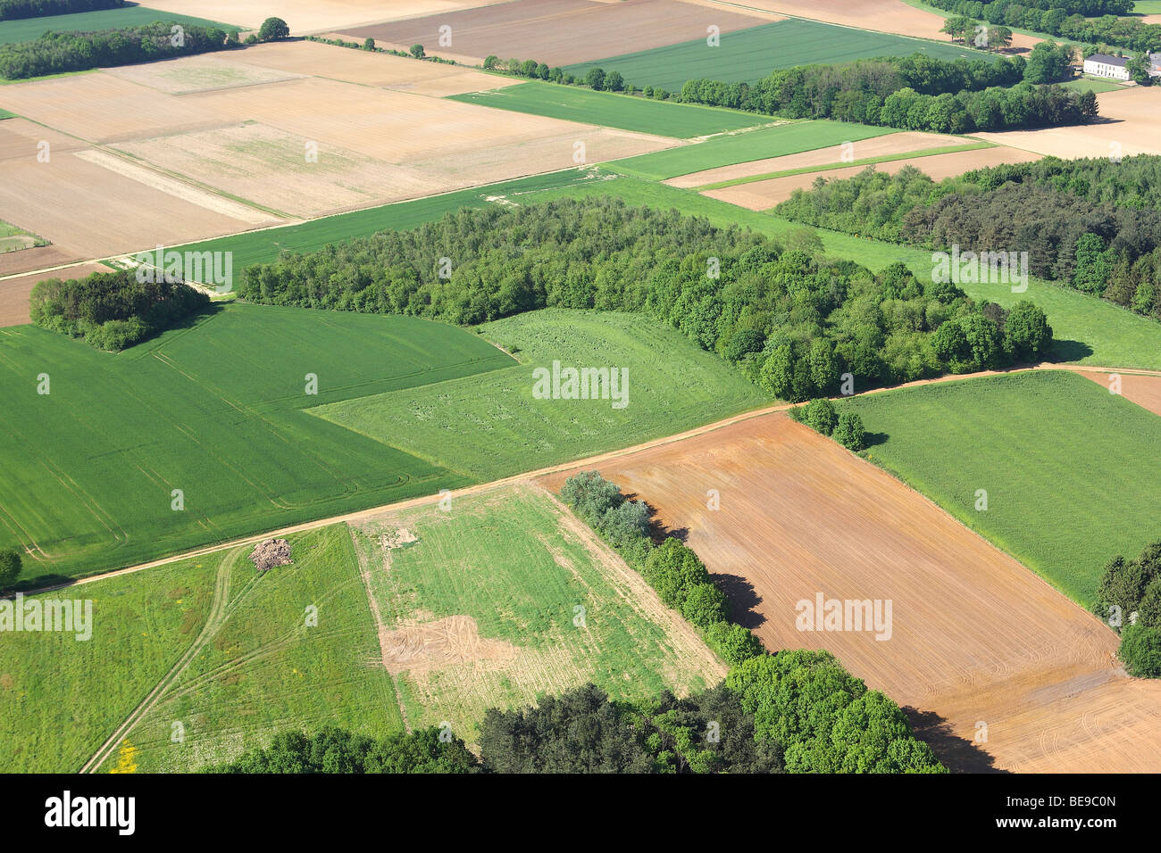 Agricultural area with fields, grasslands forested area and hedges from ...
