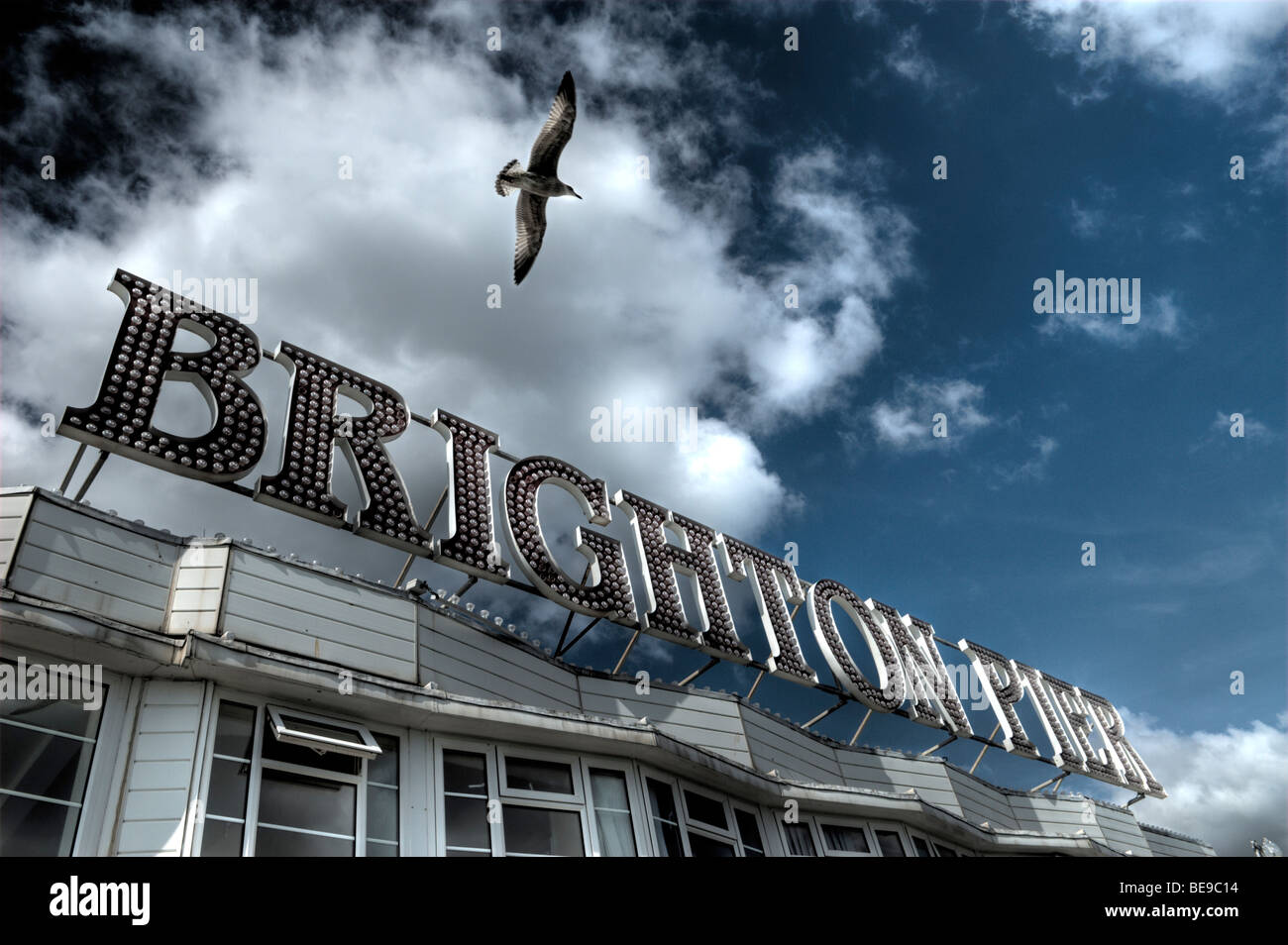 Brighton seagull hi-res stock photography and images - Alamy