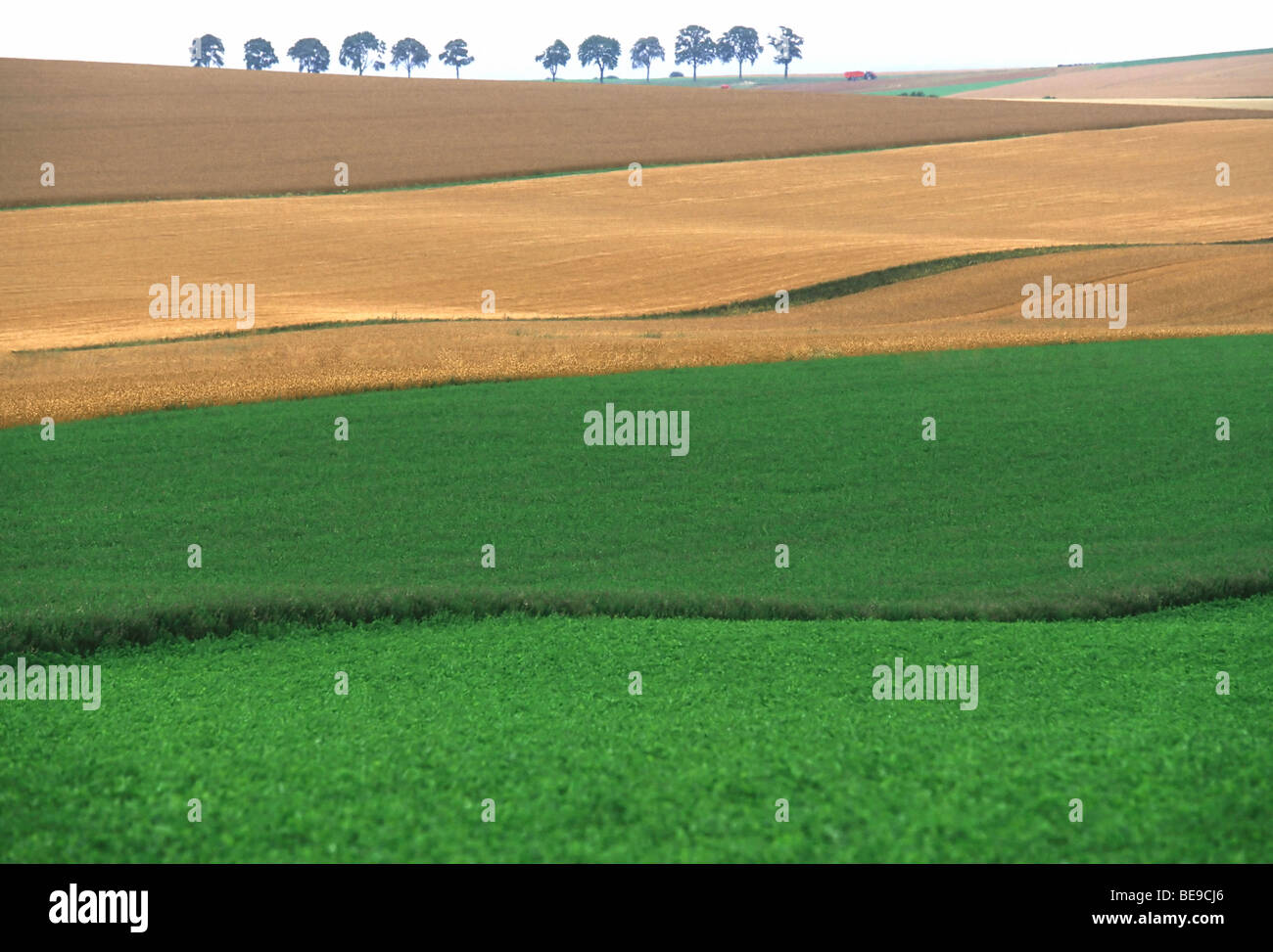 Field france hi-res stock photography and images - Alamy