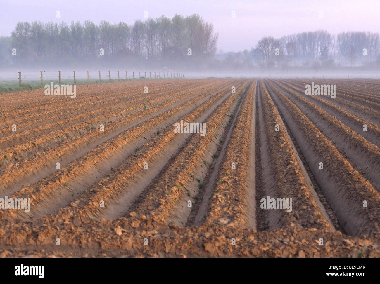 Akker, Belgi Field, Belgium Stock Photo - Alamy