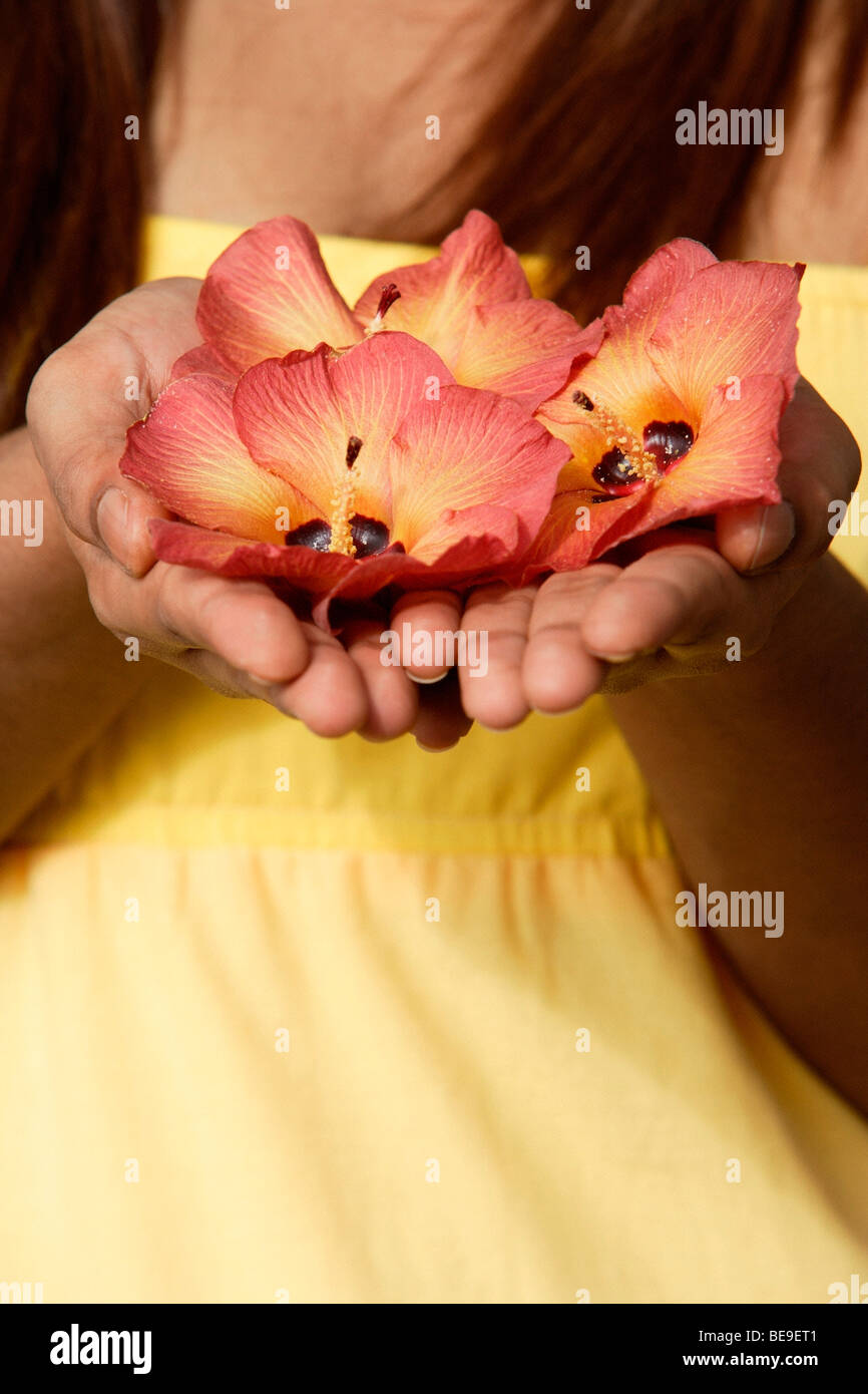 Close up of hands offering flowers Stock Photo - Alamy