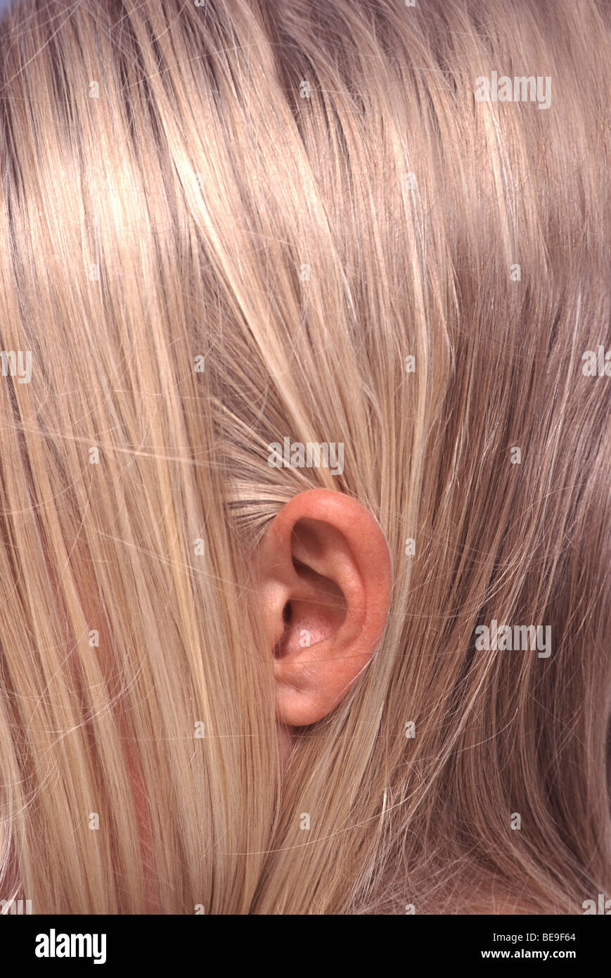 Close up of hair and ear Stock Photo - Alamy