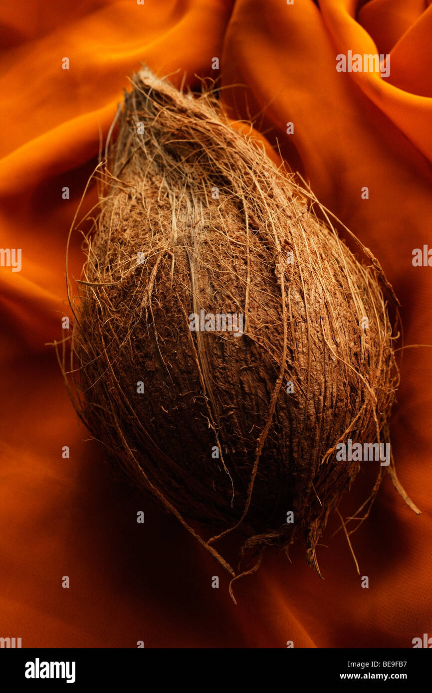 coconut with shell on top of draped cloth Stock Photo - Alamy