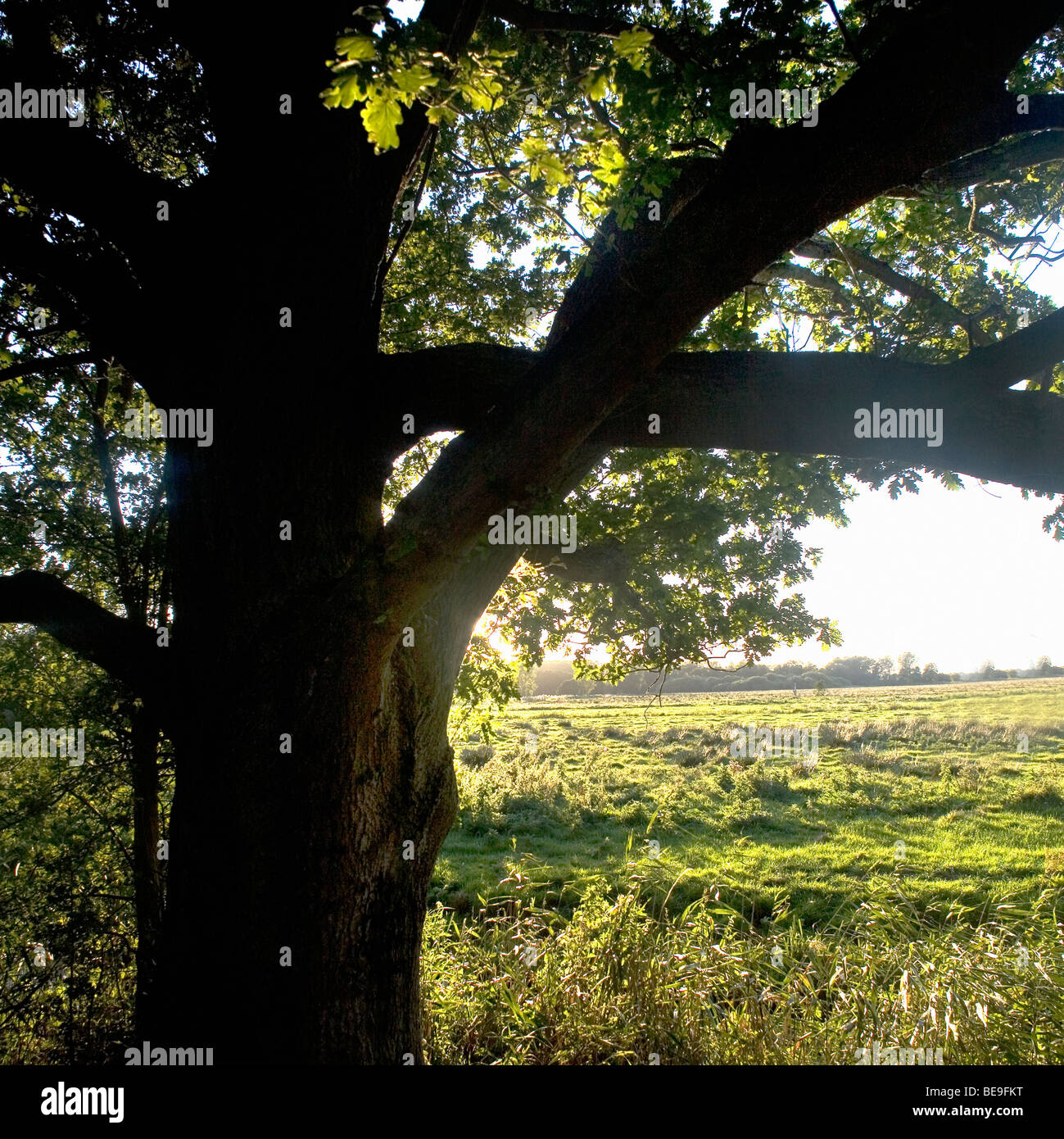 River waveney valley hi-res stock photography and images - Alamy