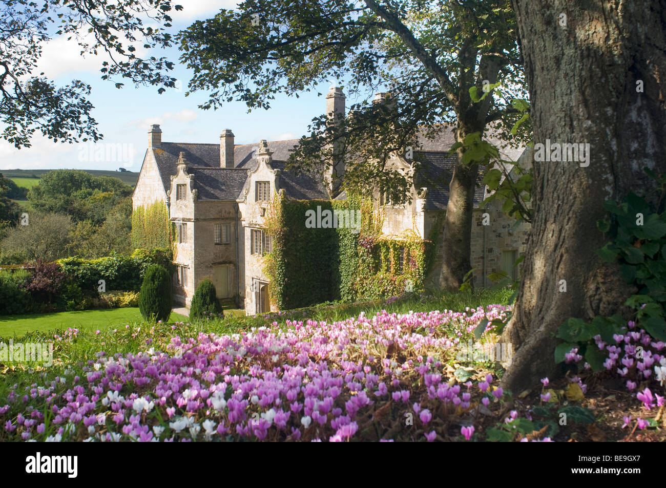Cornwall Uk Mansion High Resolution Stock Photography and Images - Alamy
