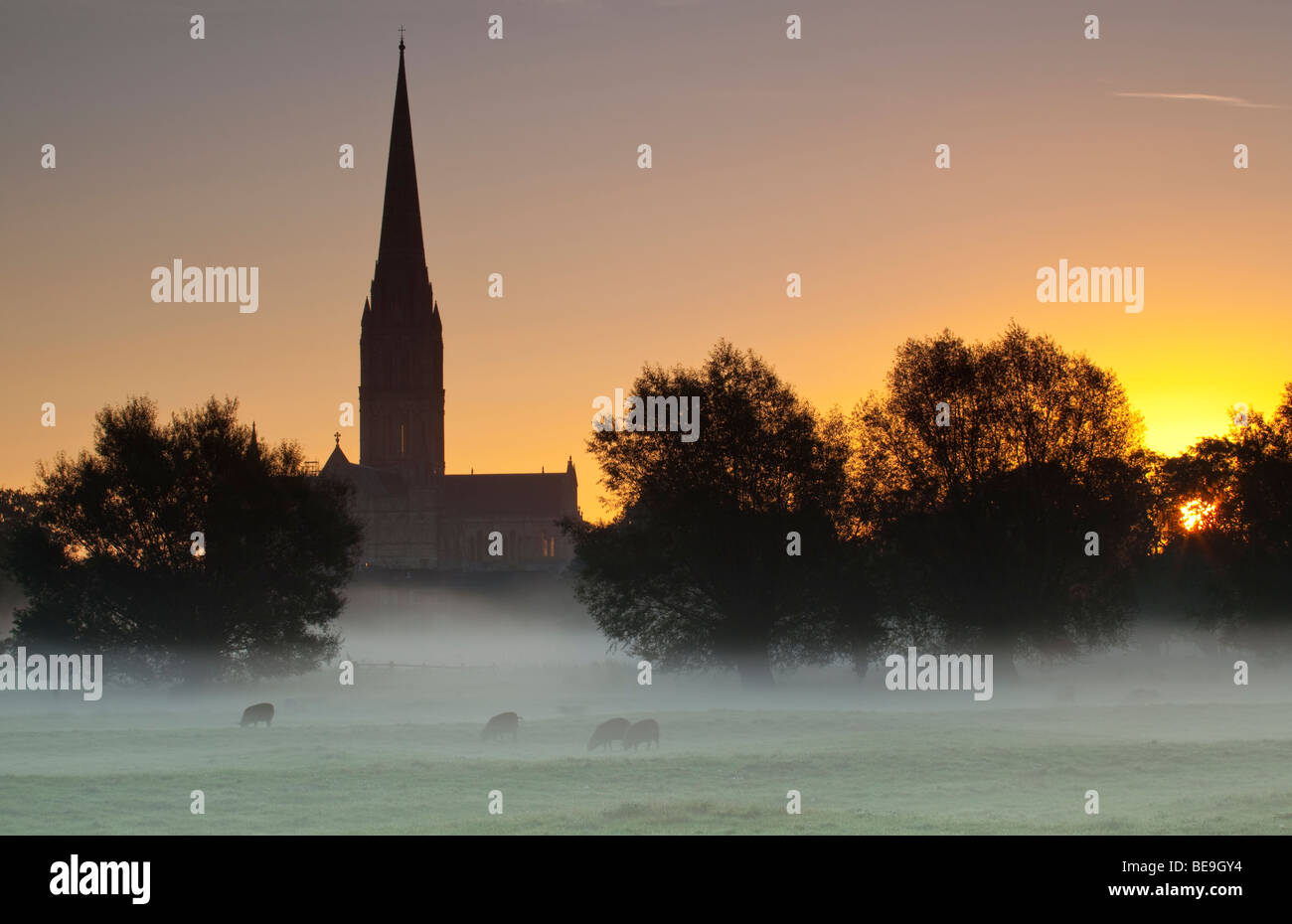 Salisbury Cathedral viewed from Harnham Water Meadows at sunrise Stock ...
