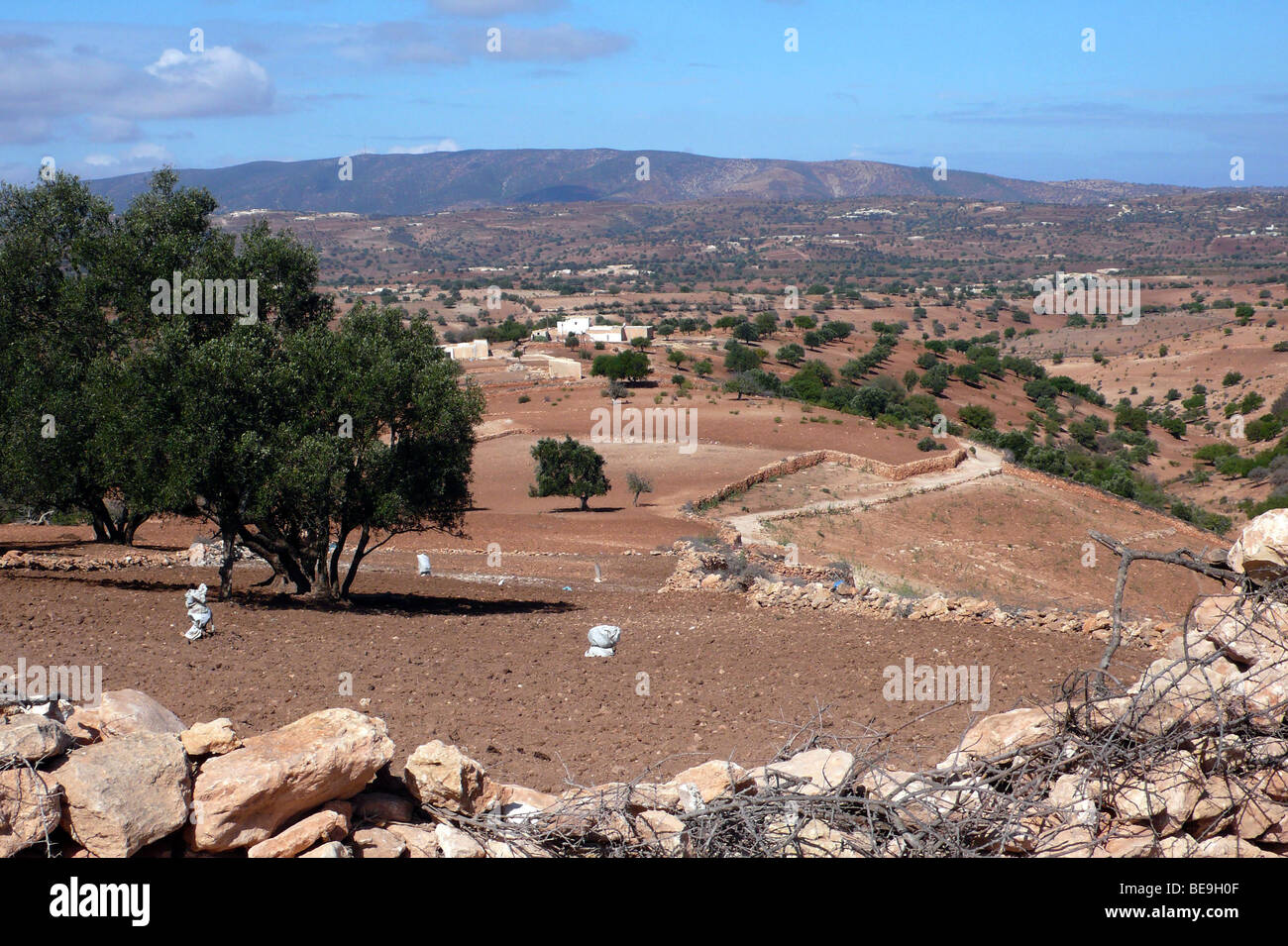 Morocco : landscape in the North of Essaouira Stock Photo - Alamy