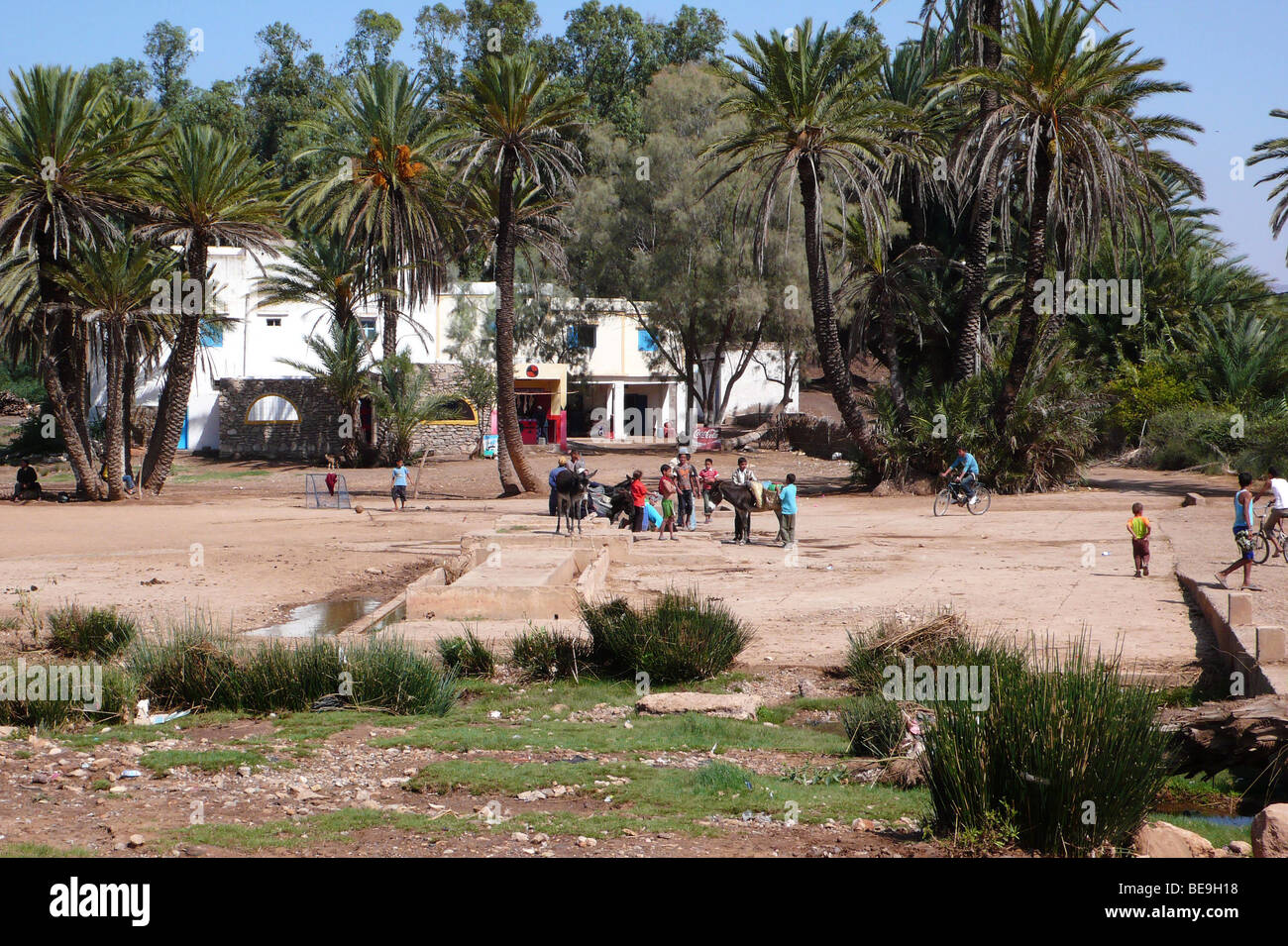 Morocco : oasis in the north of Essaouira Stock Photo - Alamy