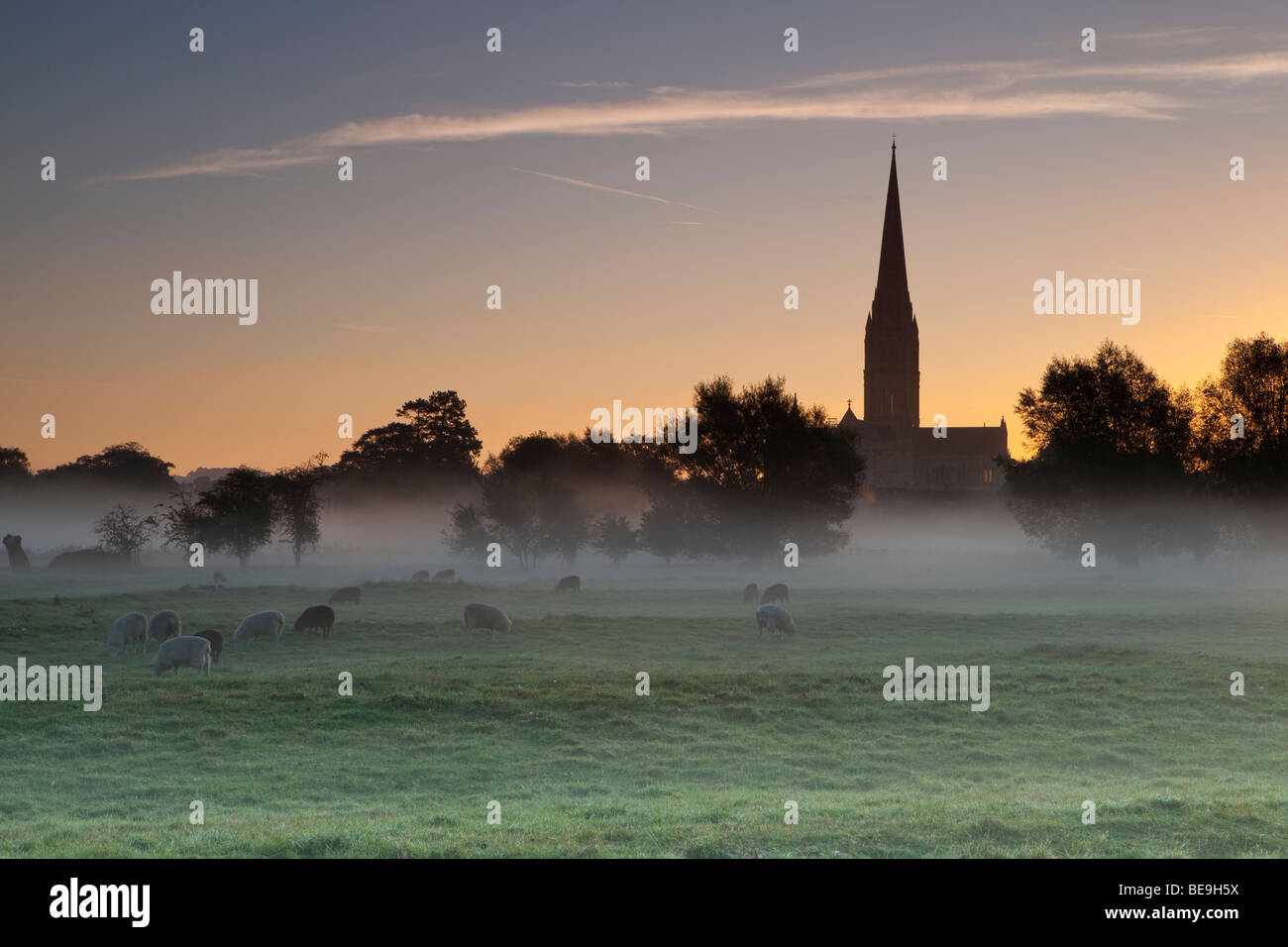 Salisbury Cathedral viewed from Harnham Water Meadows at sunrise Stock ...