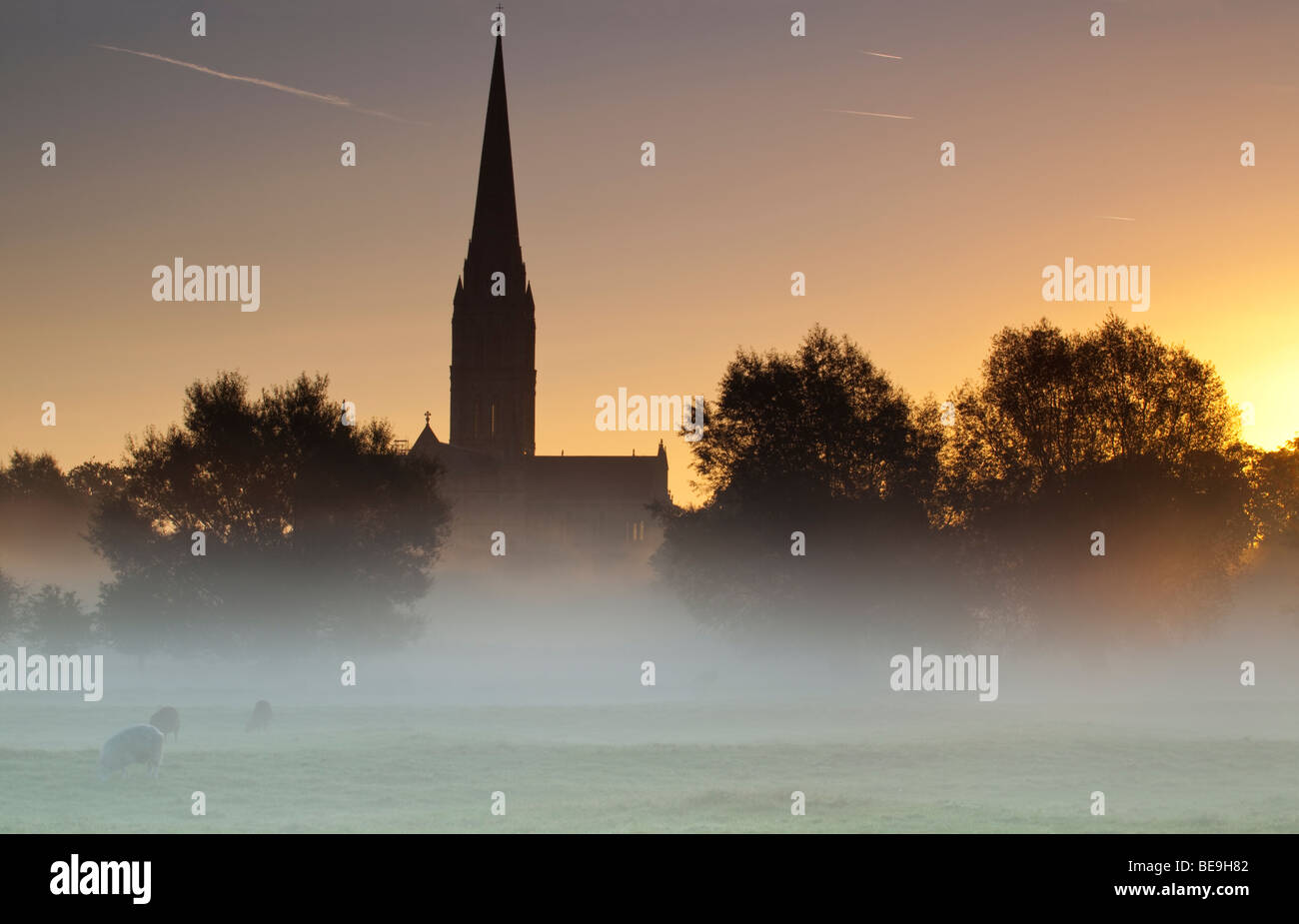 Salisbury Cathedral viewed from Harnham Water Meadows at sunrise Stock ...