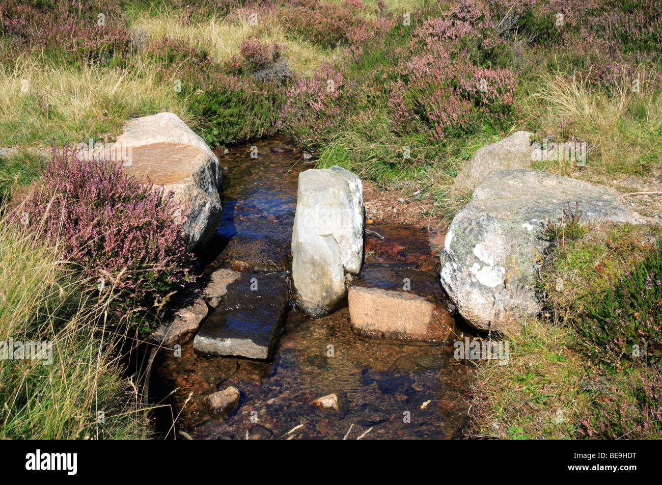 Stepping stones over small mountain stream by Loch Callater ...