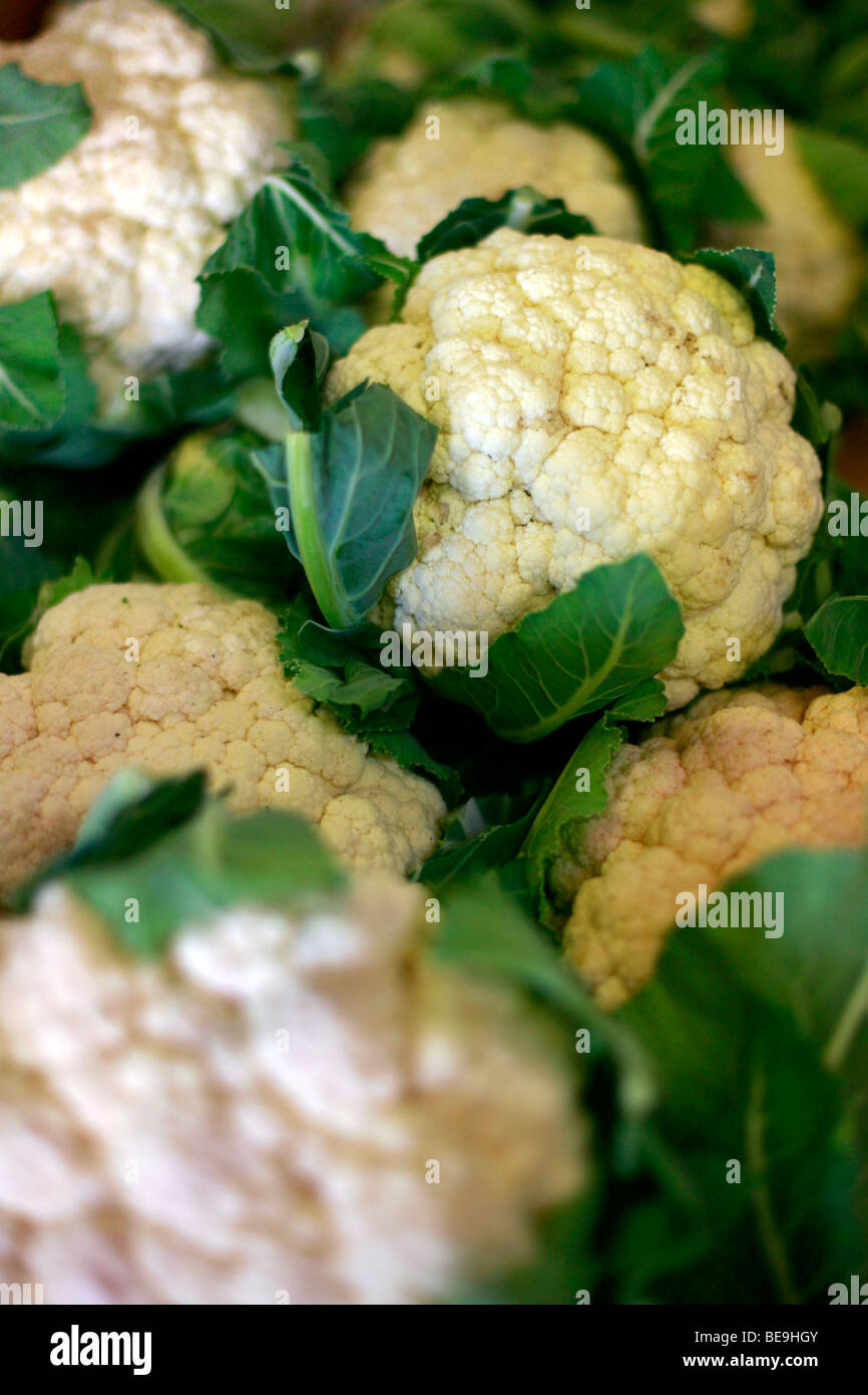 Food picture of cauliflower hi-res stock photography and images - Alamy