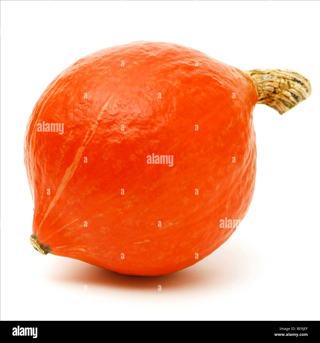 Squash picture hi-res stock photography and images - Alamy