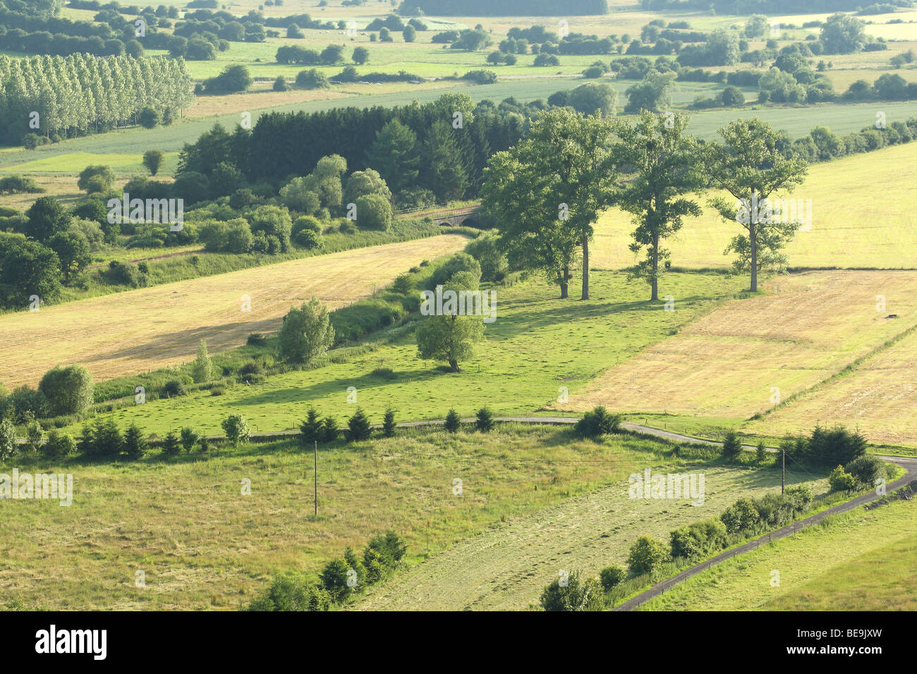 Bocagelandschap met hagen en bomen, Viroinvallei, Belgi Bocage ...