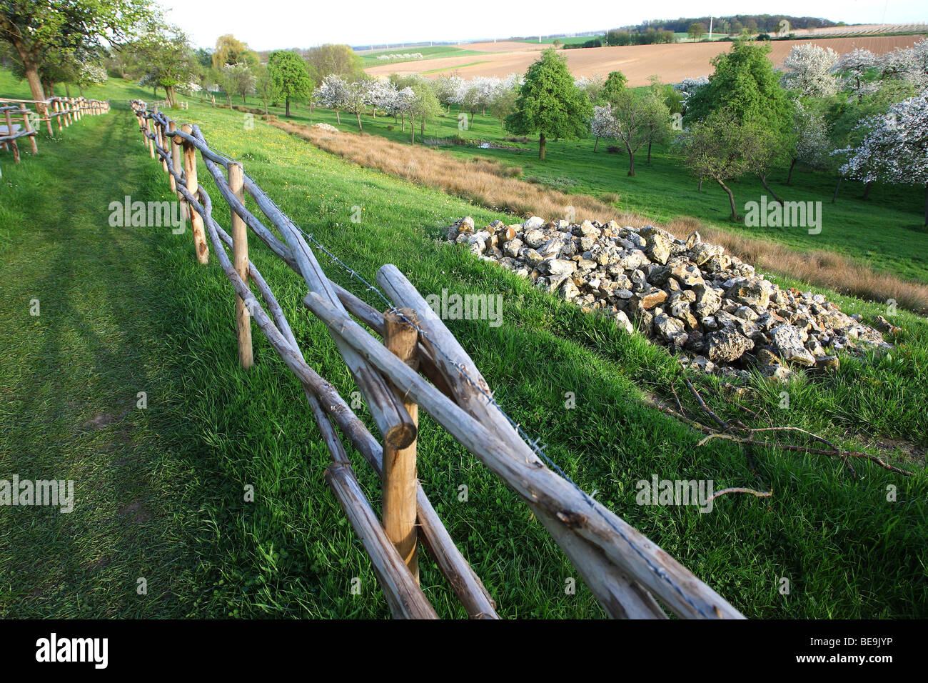 Toad fence hi-res stock photography and images - Alamy