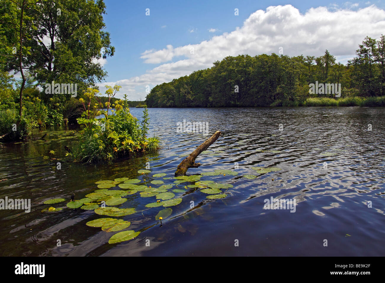 At peene hi-res stock photography and images - Alamy