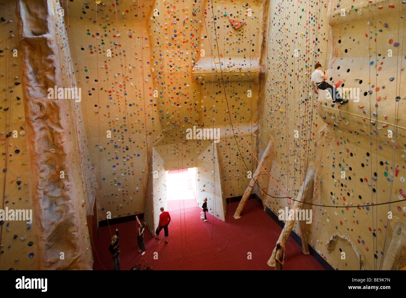 Jongen klimt met behulp van touw tegen een klimwand. Boy climbing using ...