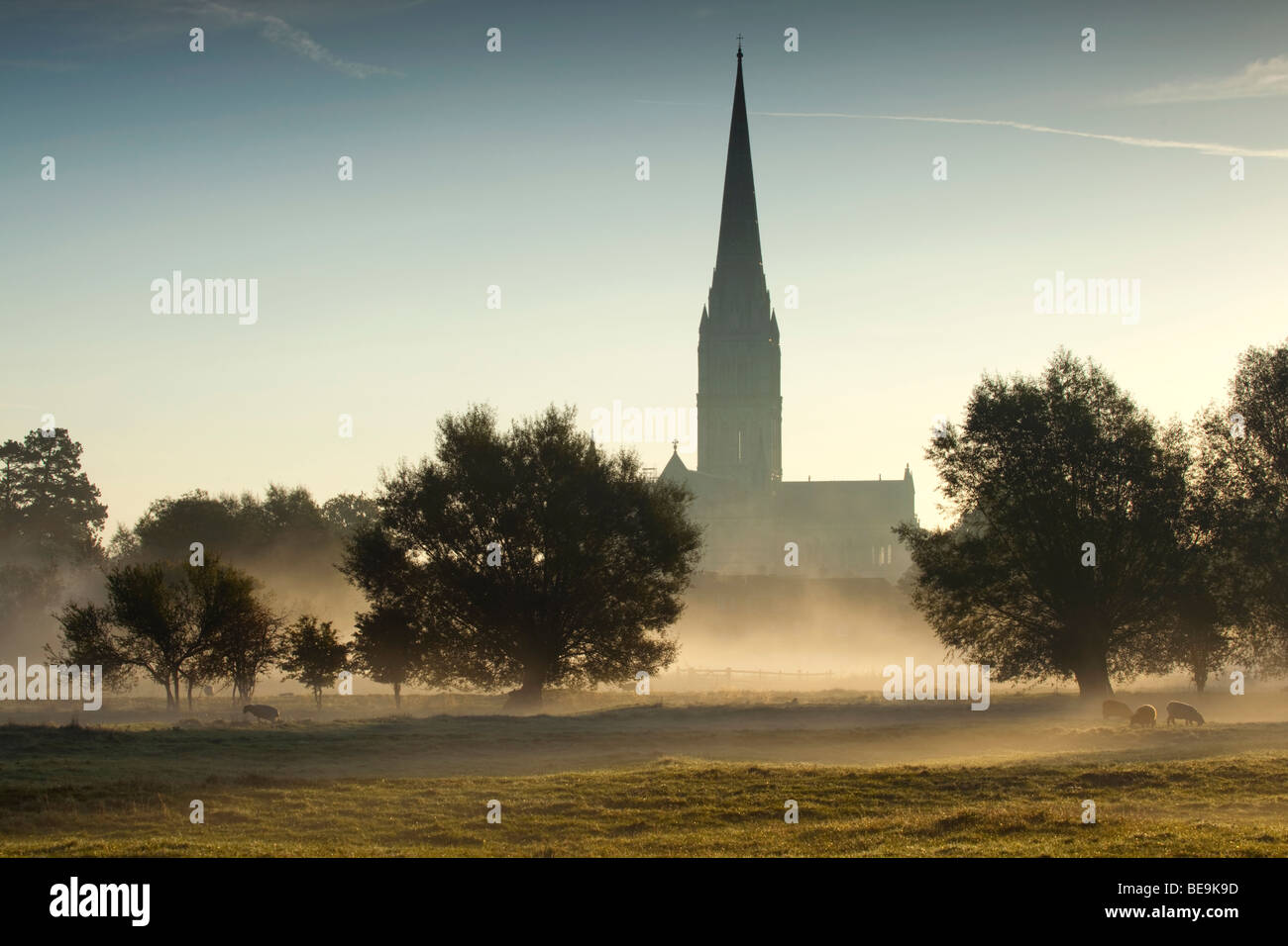 Salisbury Cathedral viewed from Harnham Water Meadows early in the ...
