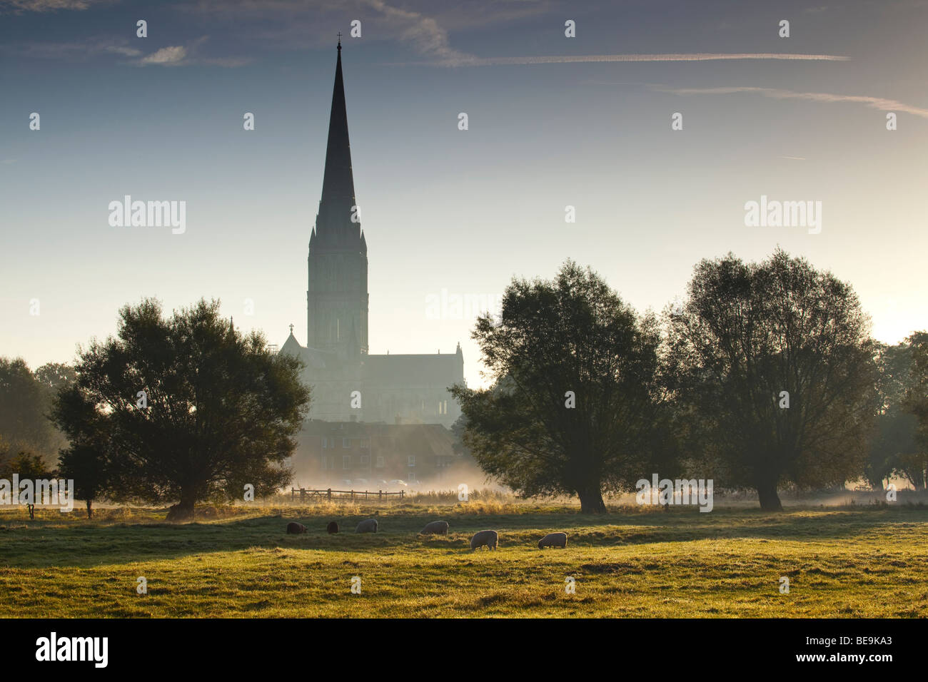 Salisbury Cathedral viewed from Harnham Water Meadows early in the ...