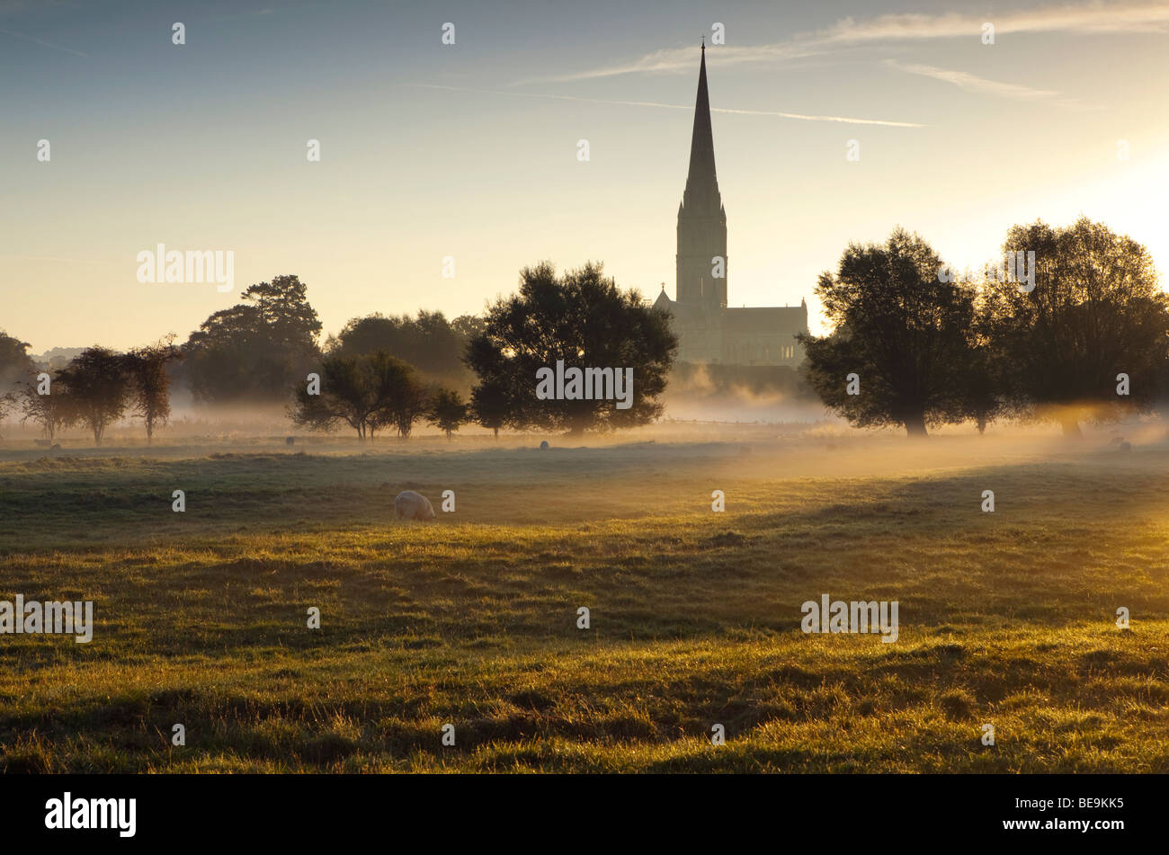 Salisbury Cathedral viewed from Harnham Water Meadows early in the ...