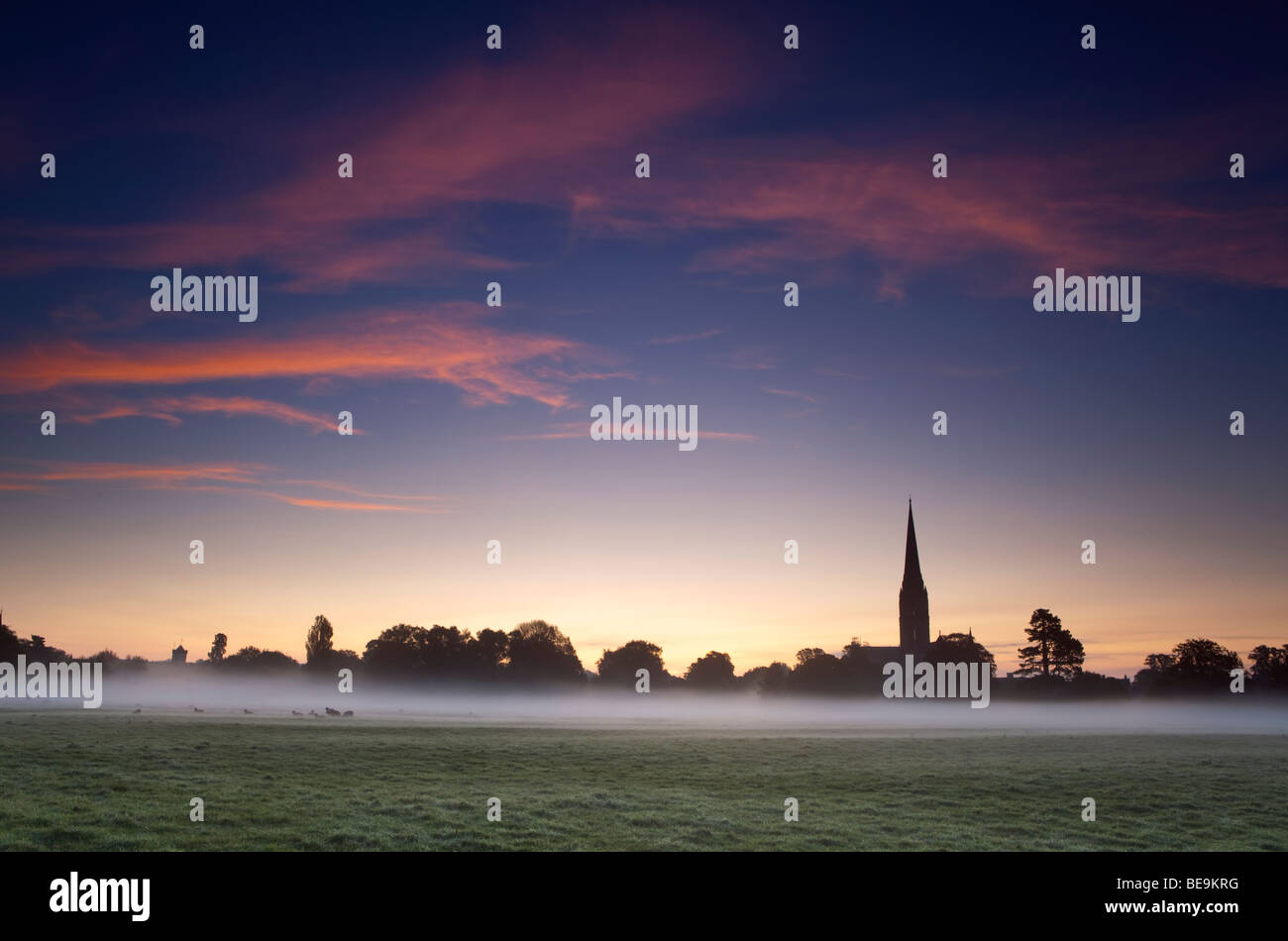 Salisbury cathedral water meadows hi-res stock photography and images ...