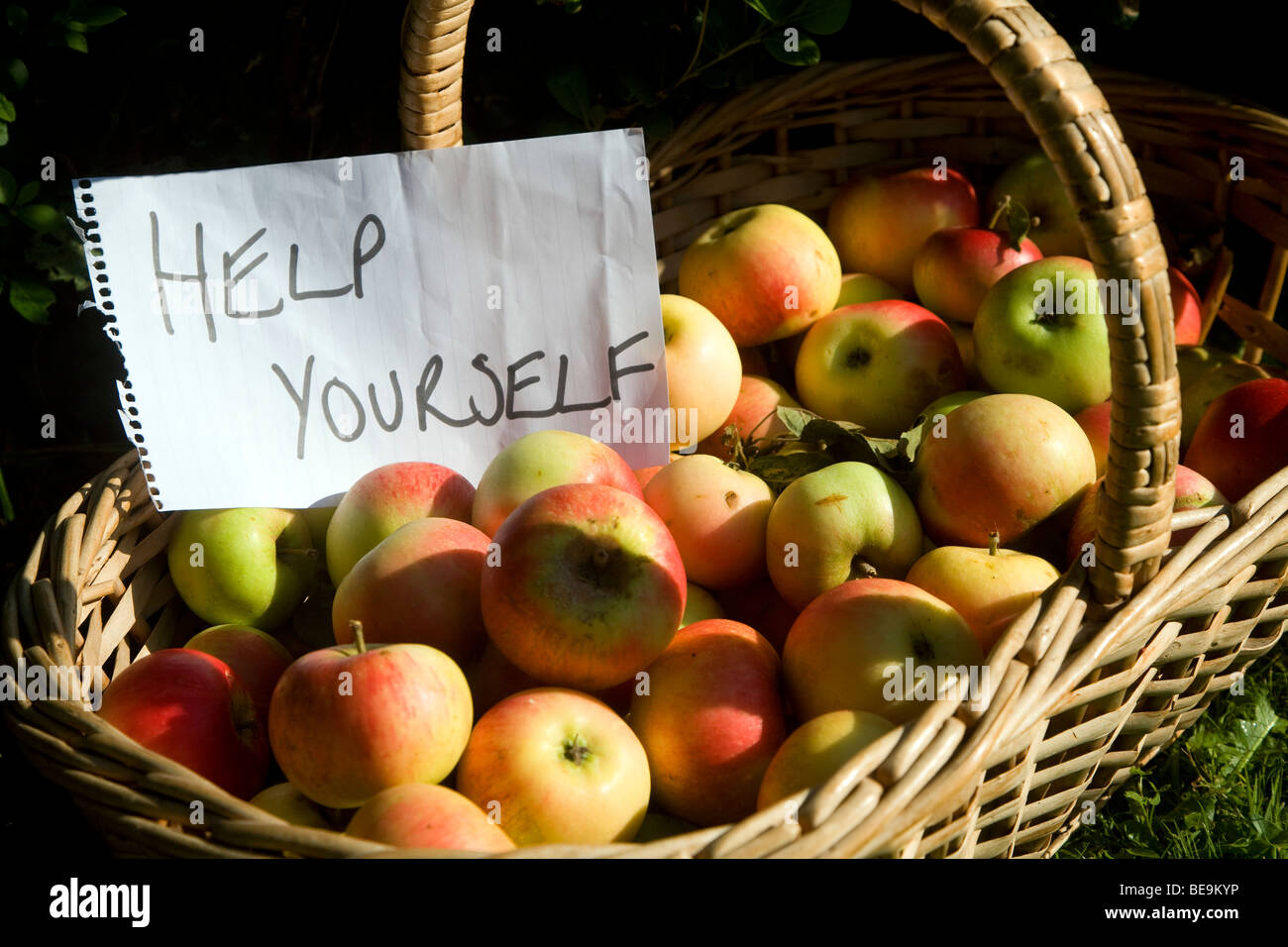 Help Yourself sign wicker basket of Discovery apples Stock Photo - Alamy