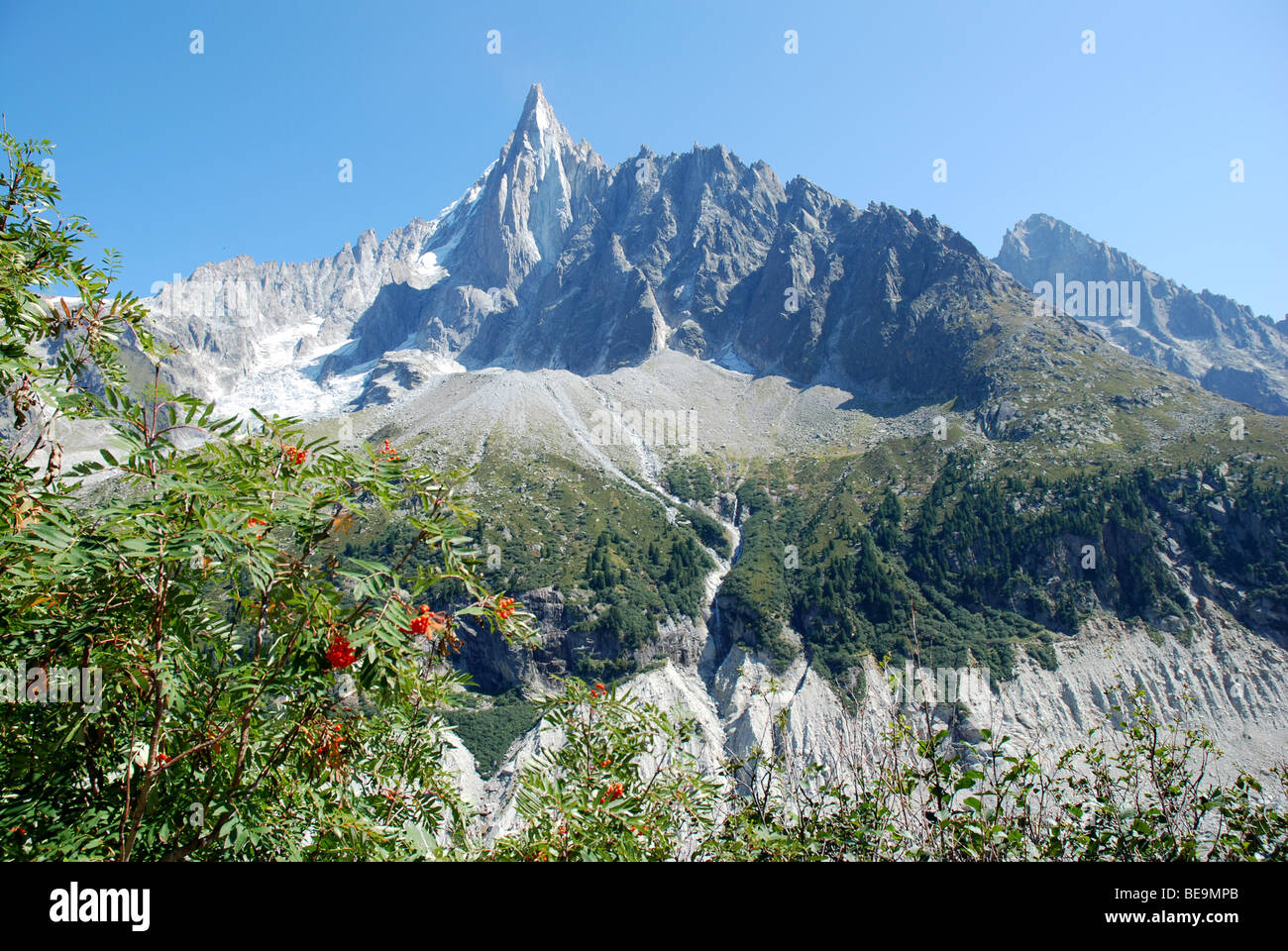 Mont Blanc with flowers in foreground Stock Photo - Alamy