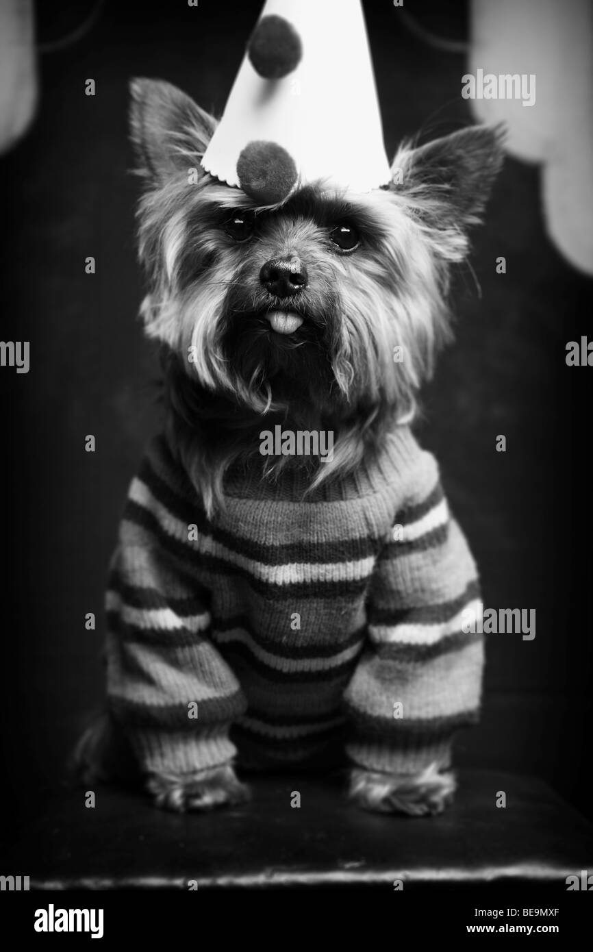 The red clown Black and White Stock Photos & Images - Alamy