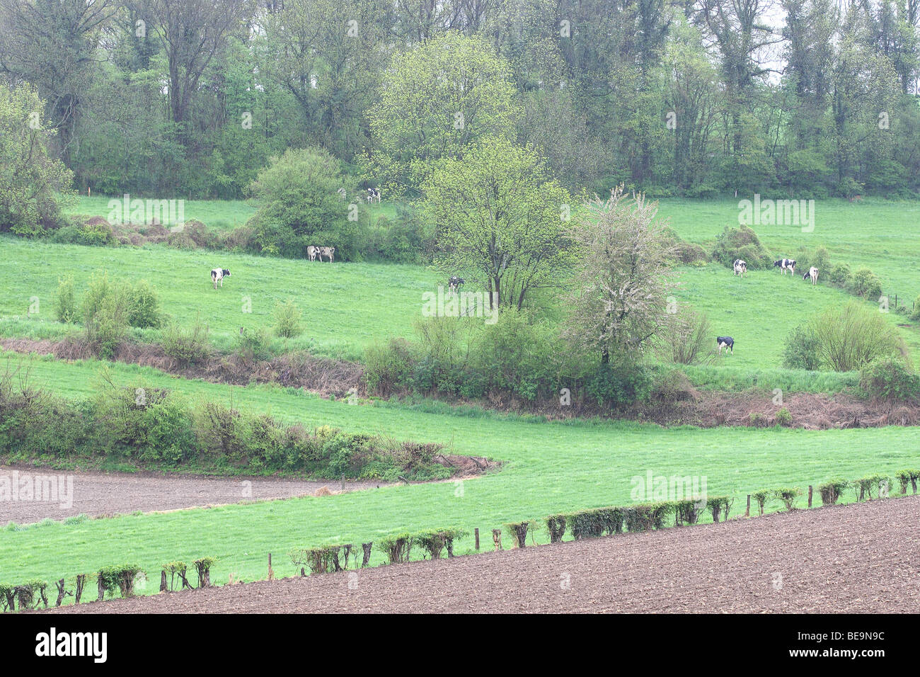 Bocage landscape hi-res stock photography and images - Alamy