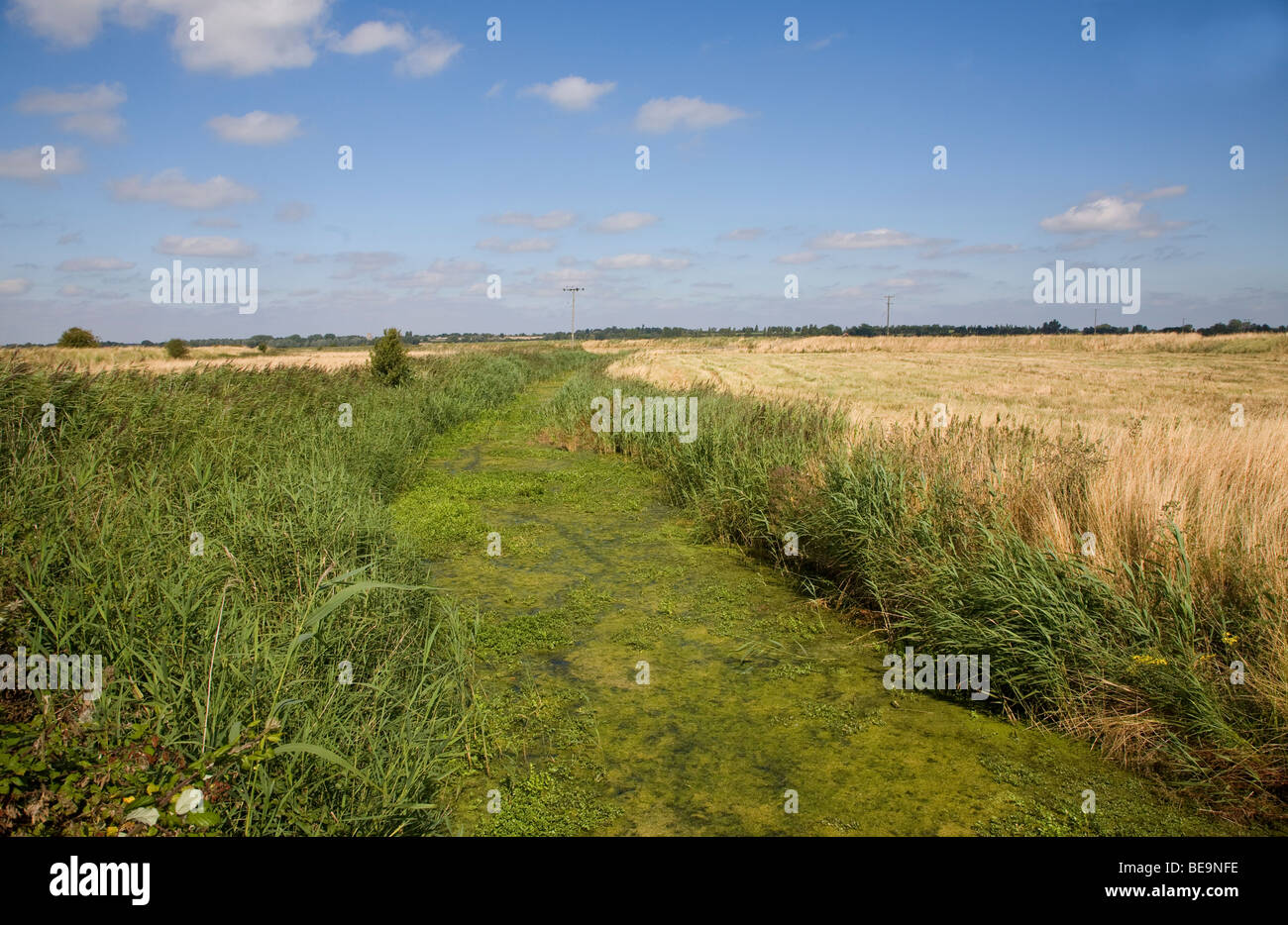 Drainage ditch pollution hi-res stock photography and images - Alamy