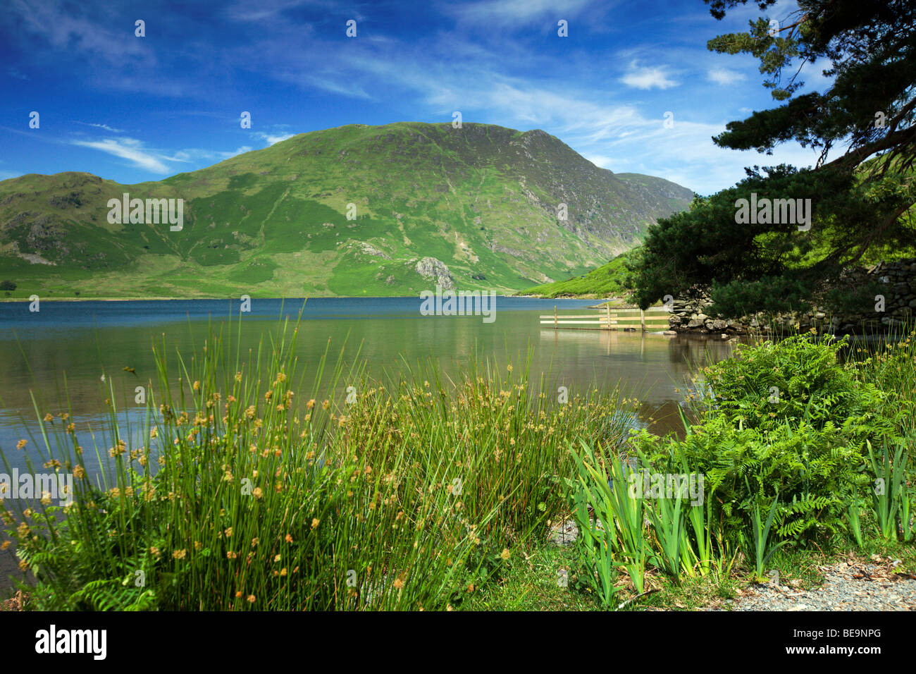 Crummock Water Shoreline Mellbreak Mountain Summer In August, 'The Lake ...