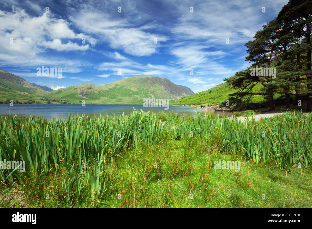 Crummock Water Shoreline Mellbreak Mountain Summer In August, 'The Lake ...