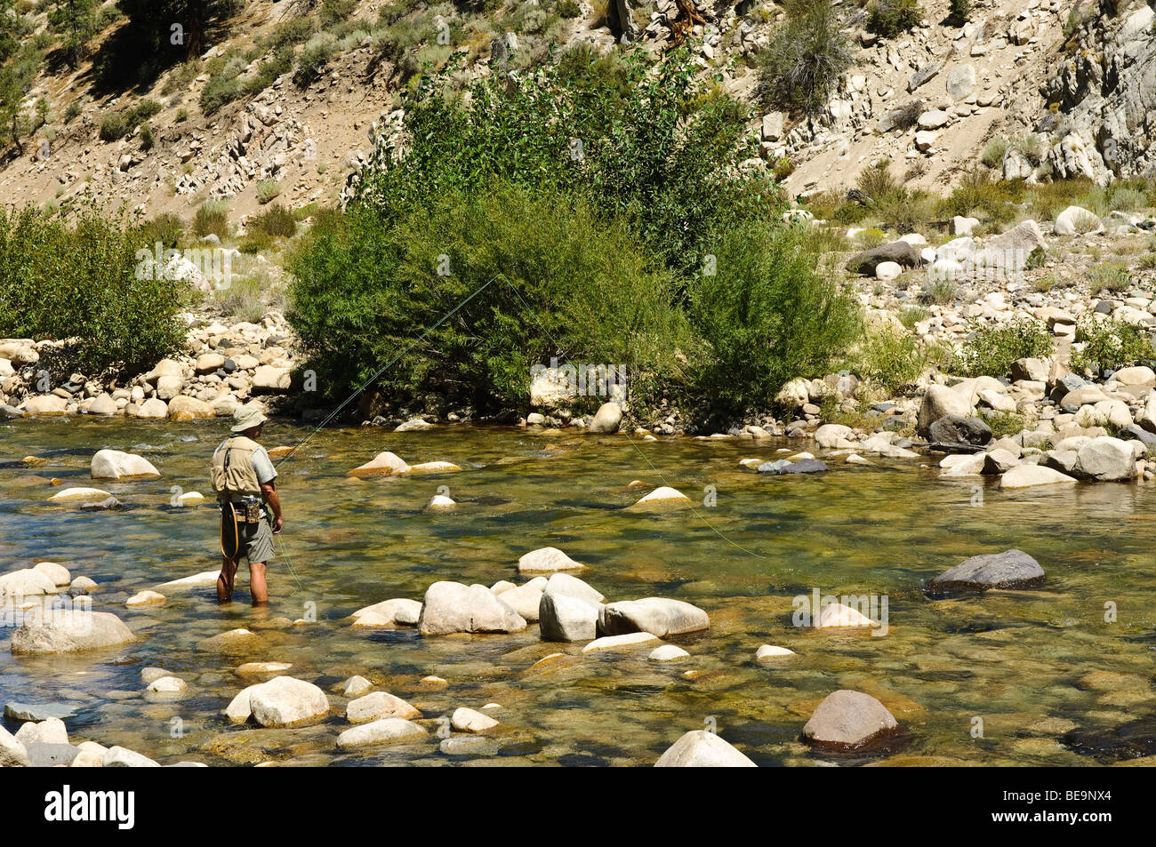Fishing in the West Walker River, California Stock Photo - Alamy