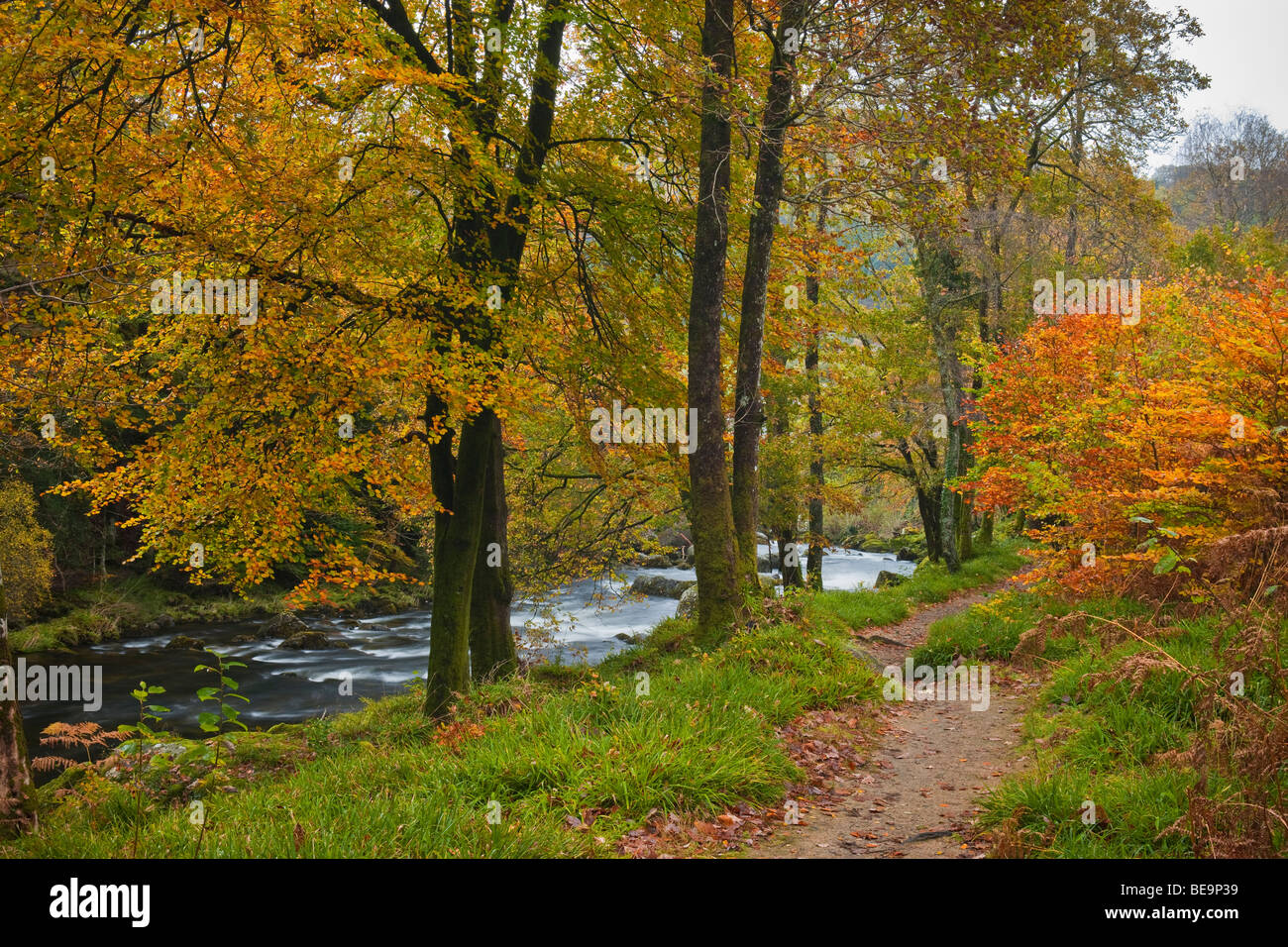 The afon llugwy hi-res stock photography and images - Alamy